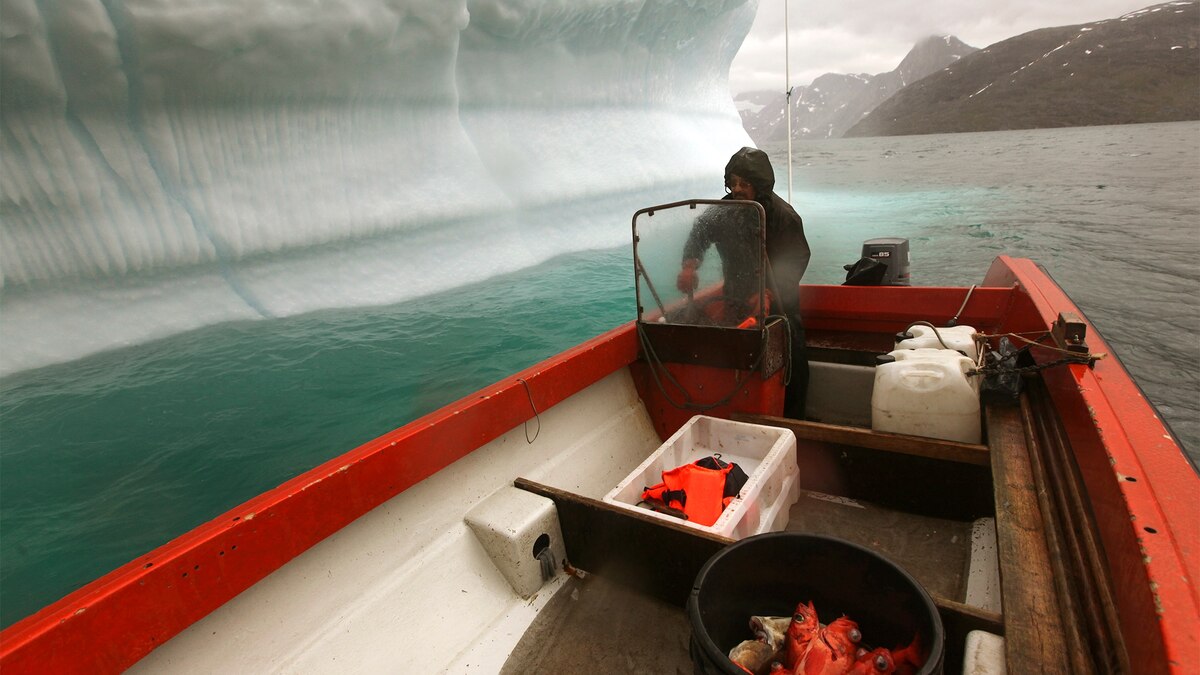 Q&A: How to Make Money From Climate Change | National Geographic