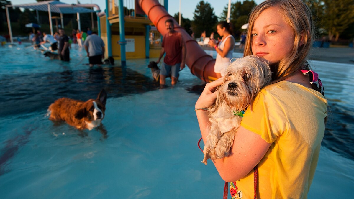 Playful Pups Celebrate the Dog Days of Summer | National Geographic