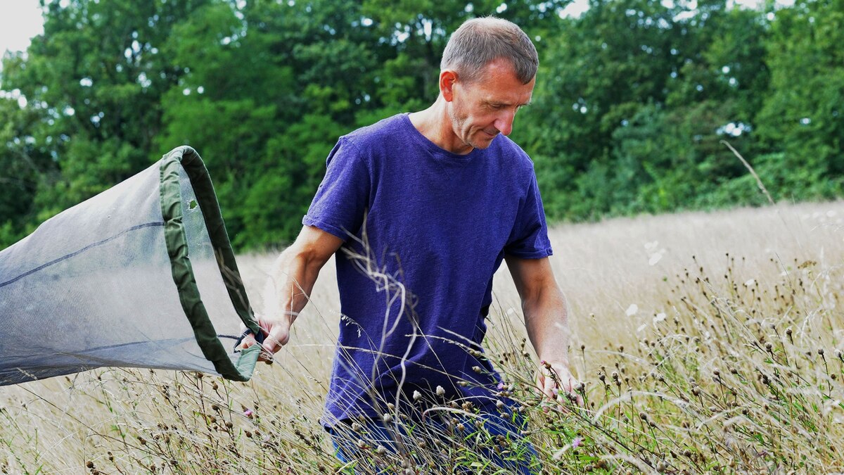 How One Man Made A Field In France Bloom With Wildlife | National ...