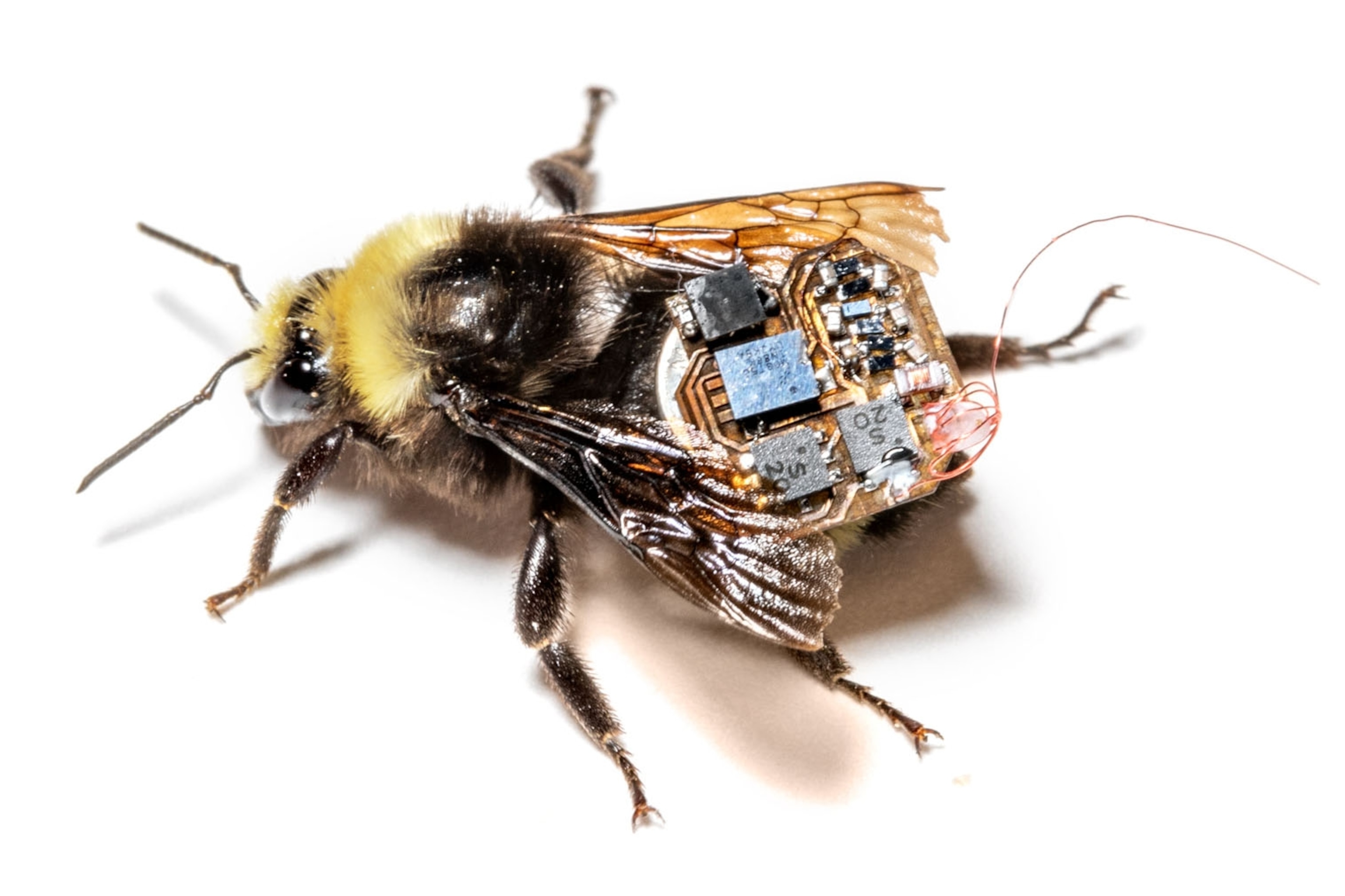 What happens to brains in space, and more breakthroughs