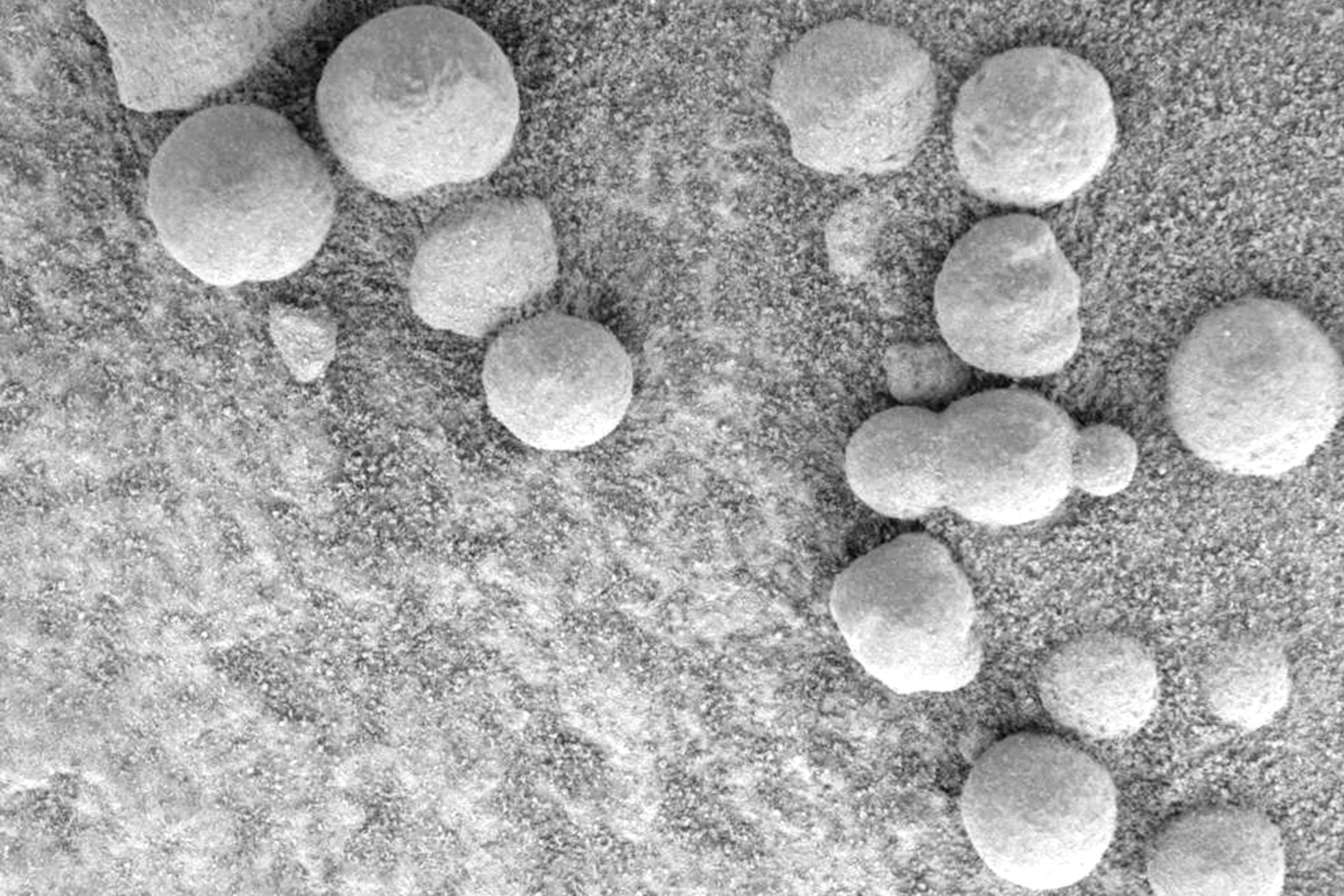 Martian "Blueberries" Really Pieces of Meteorites?