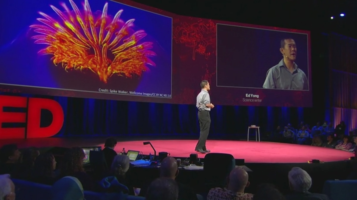 My TED Talk on Mind-Controlling Parasites | National Geographic