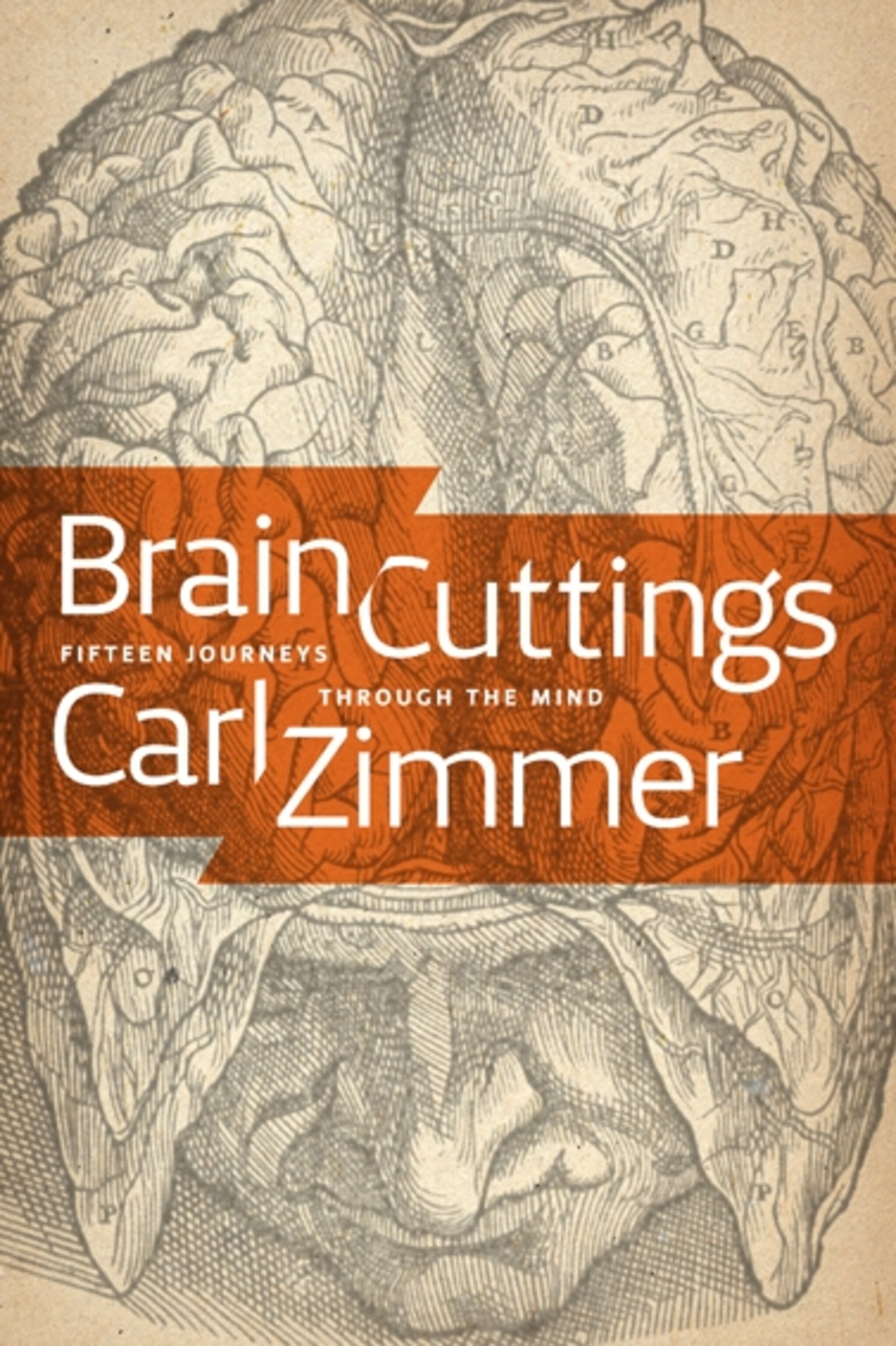My new book–ebook, that is: Brain Cuttings