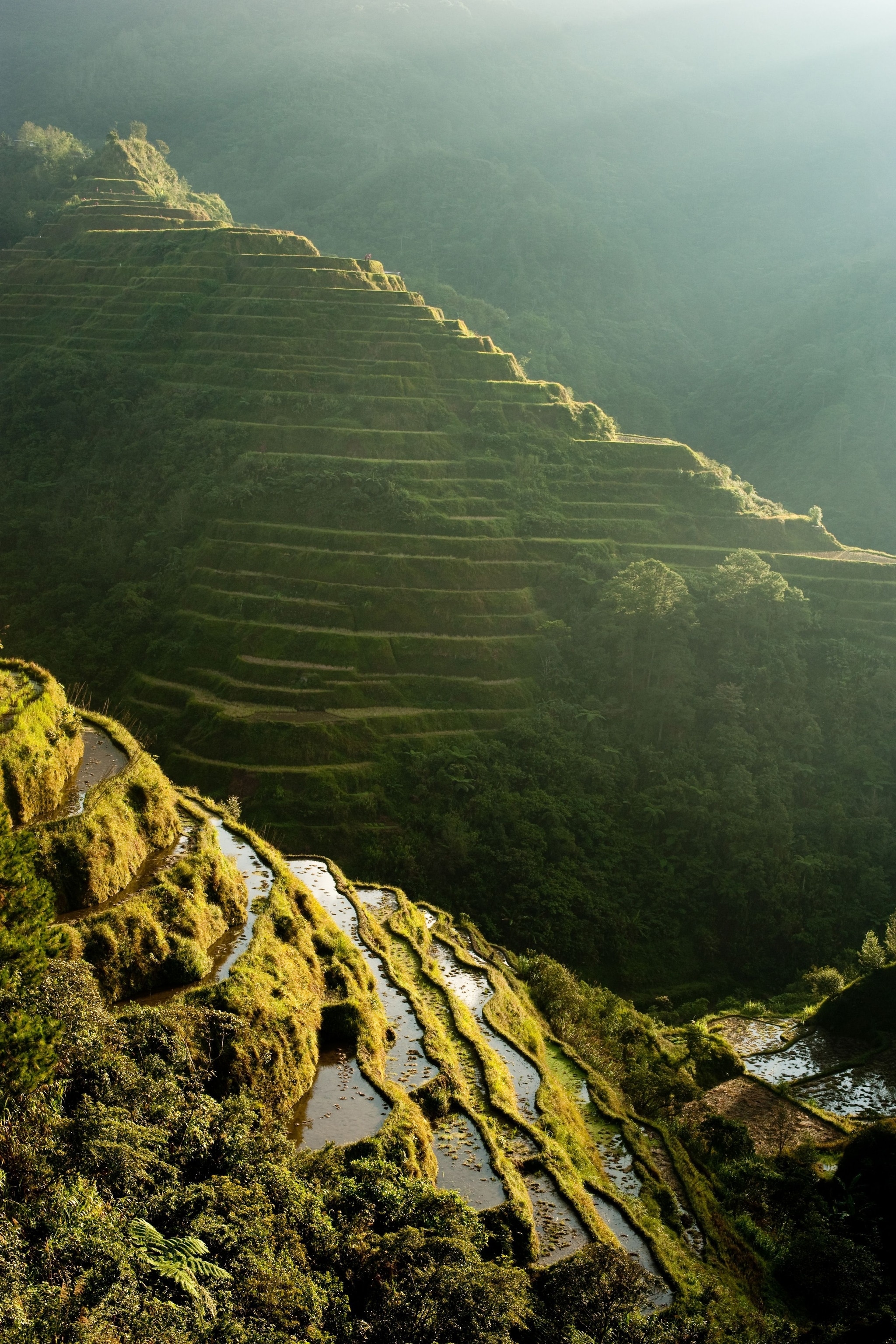 Video of the Chocolate Hills in the Philippines