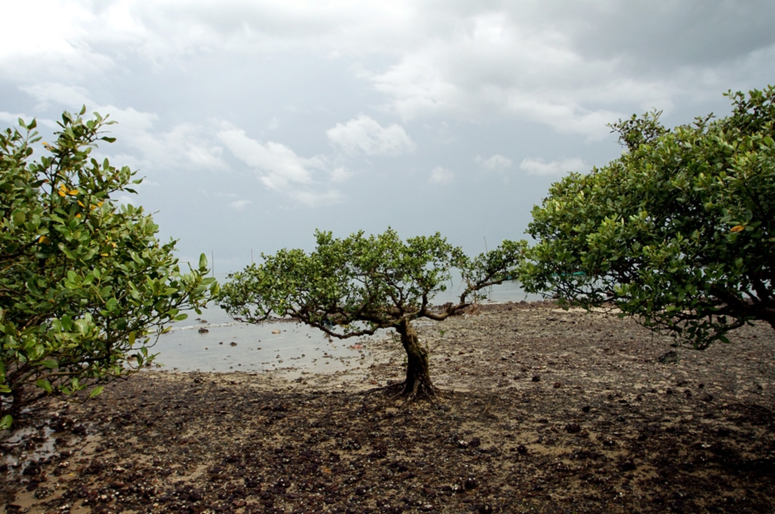 Pictures: China's Wetland Revolution | National Geographic