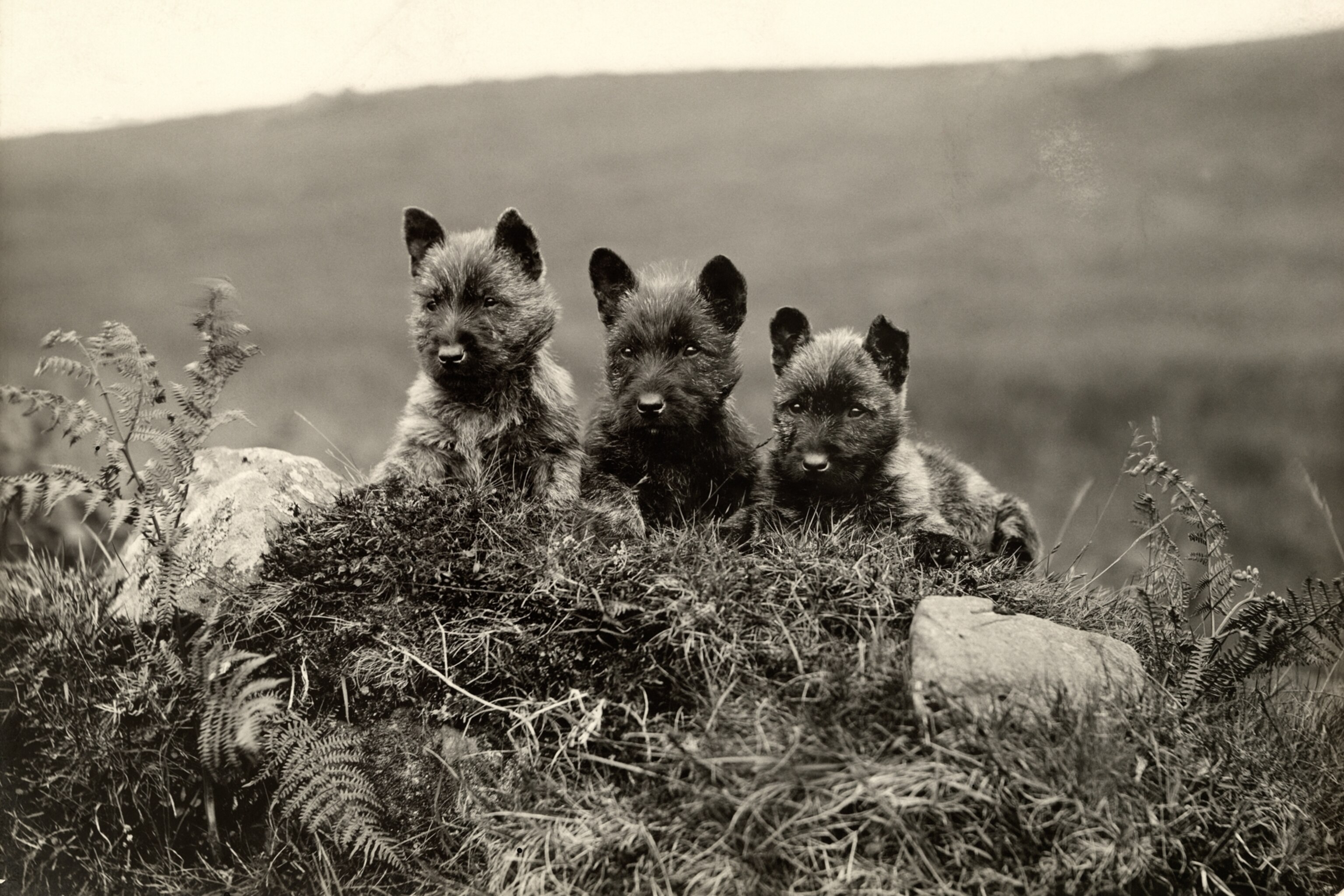 Splash into spring with these 31 radiant photos from the Nat Geo archives