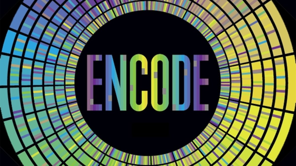 ENCODE: the rough guide to the human genome