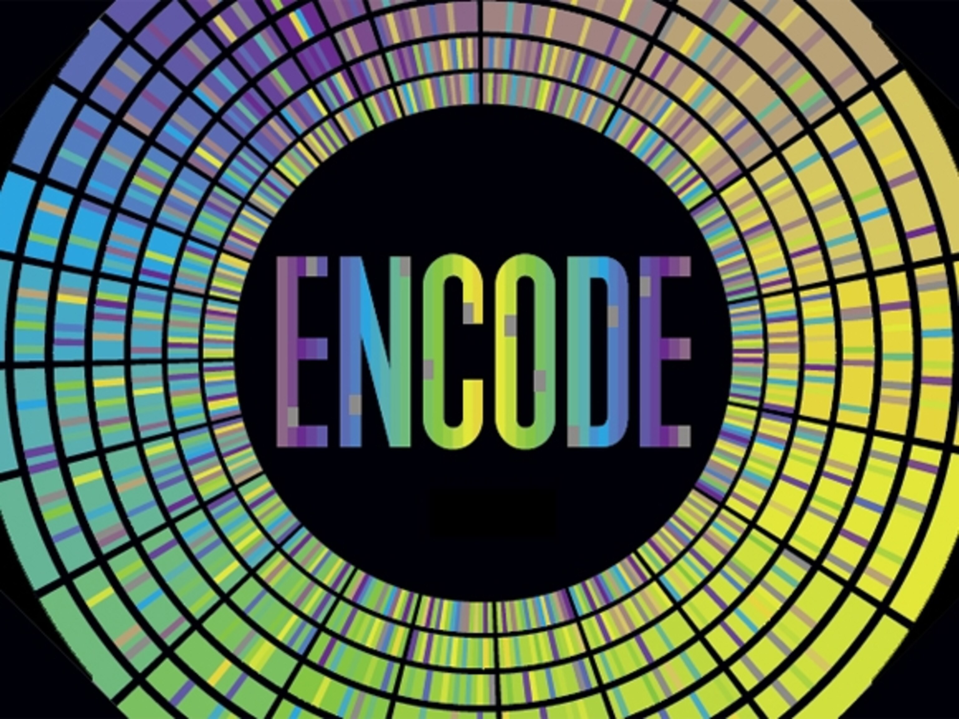 ENCODE: the rough guide to the human genome