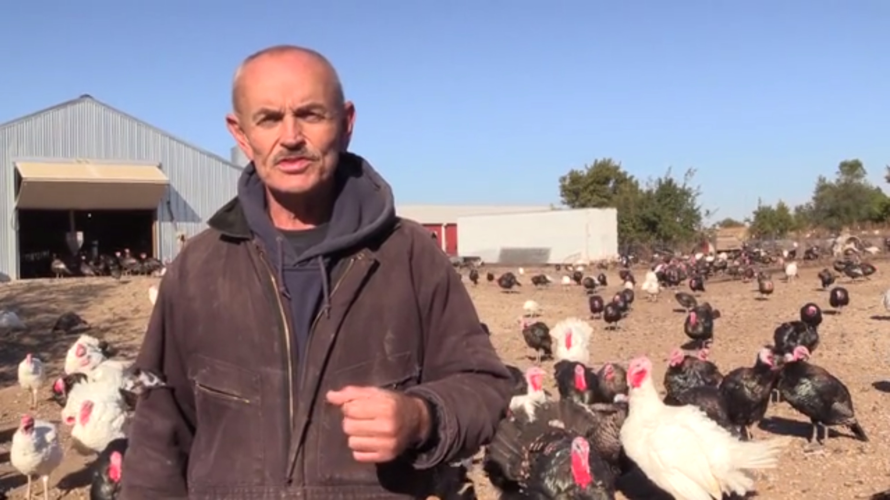 Saving Poultry’s Gene Pool | National Geographic