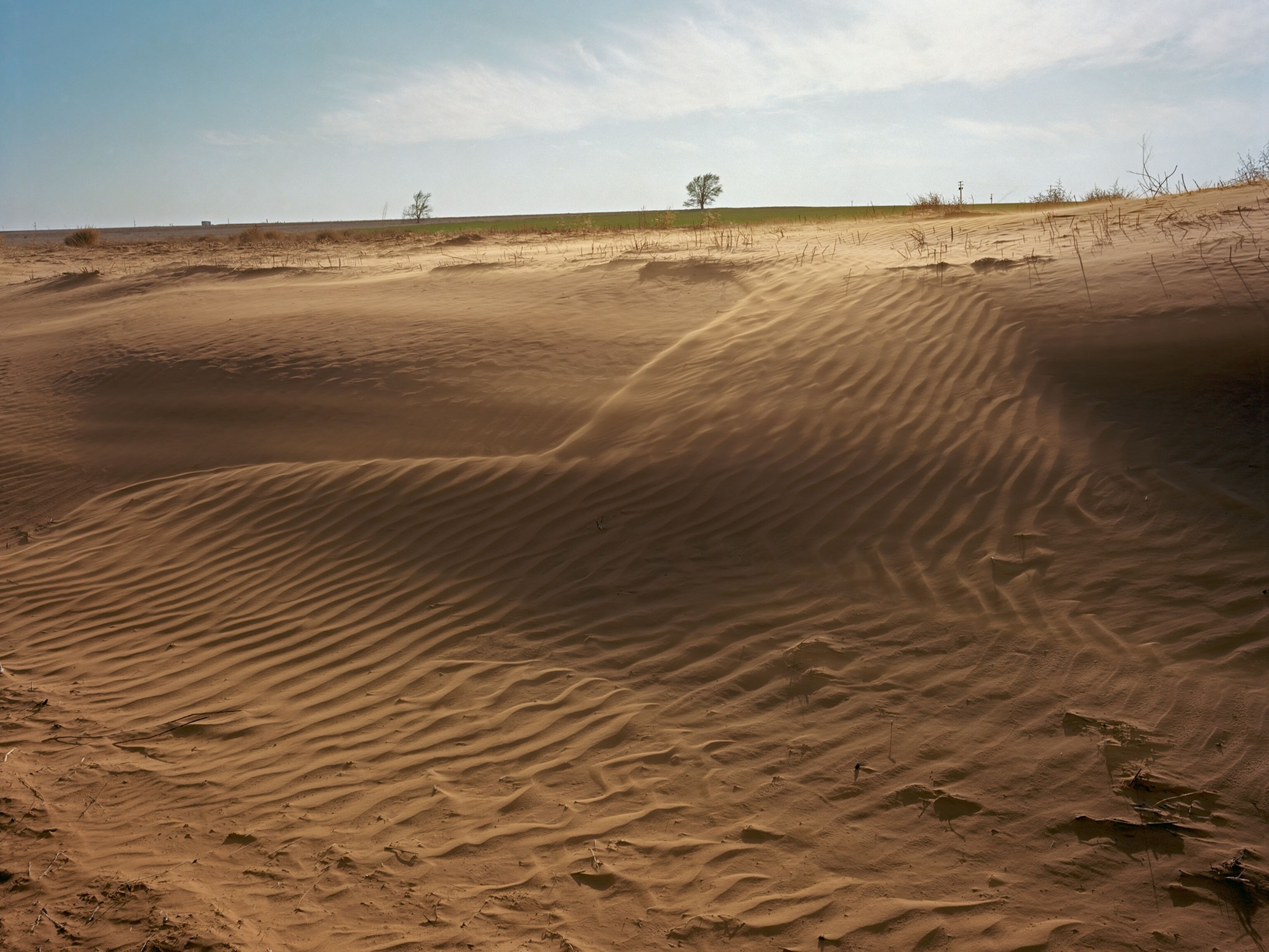 75% of Earth's Land Areas Are Degraded, IPBES Report Warns