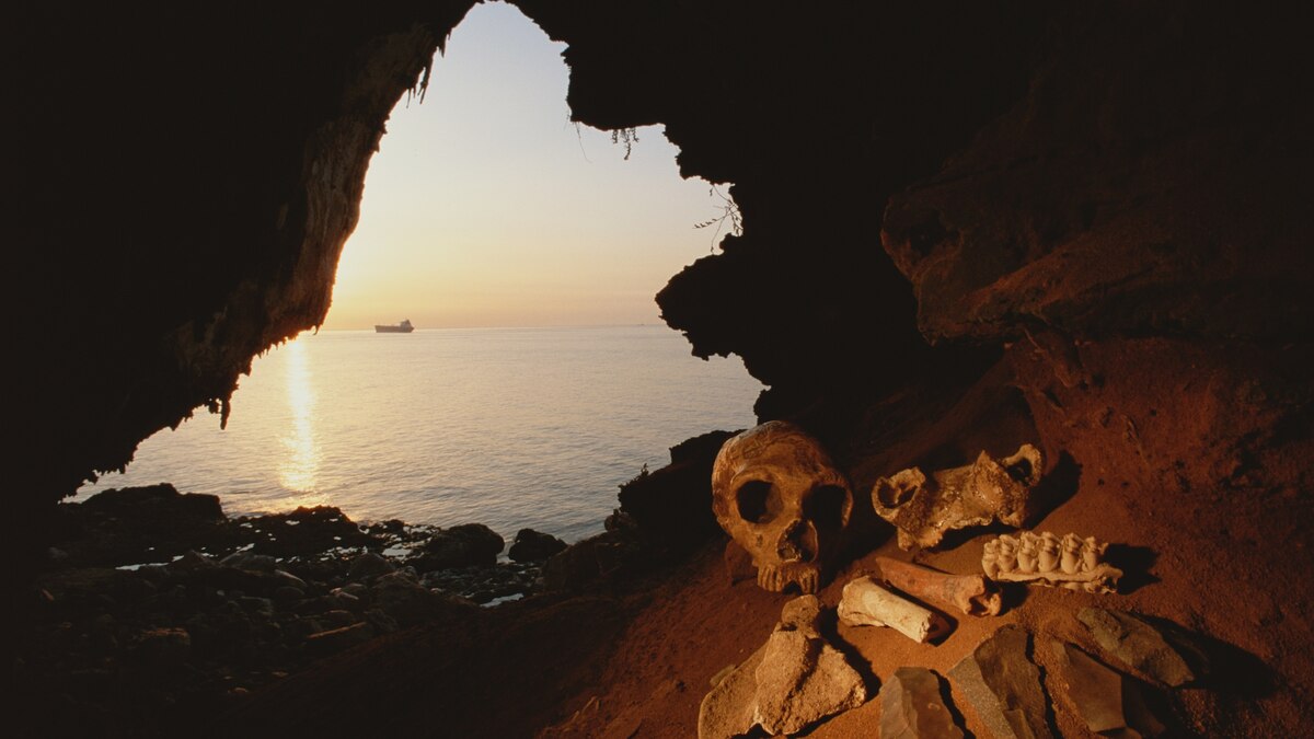 Hot Stew in the Ice Age? Evidence Shows Neanderthals Boiled Food | Nat ...