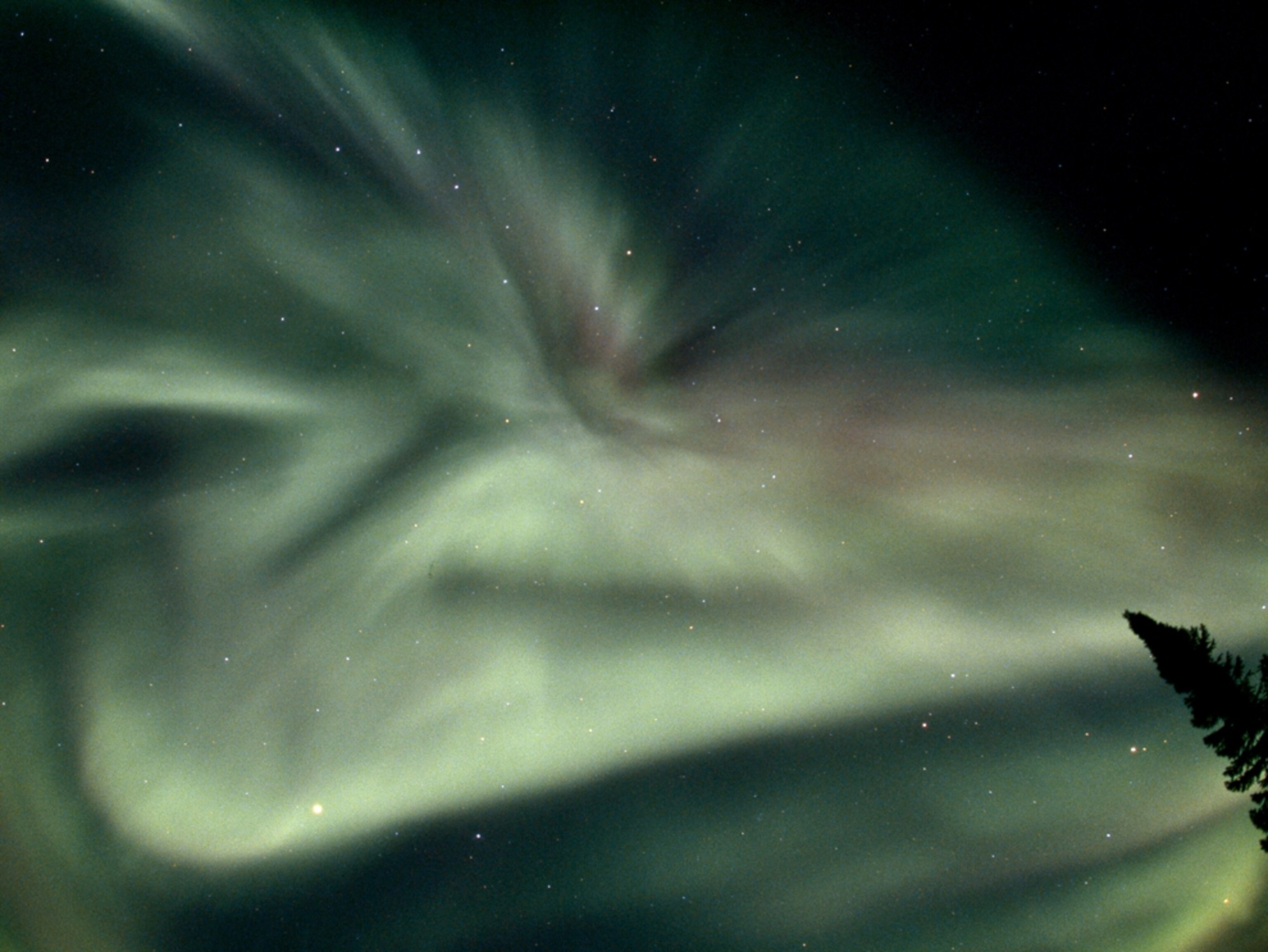 Aurora Pattern Pictures, Aurora Pattern Photos, Photo Gallery, Picture ...