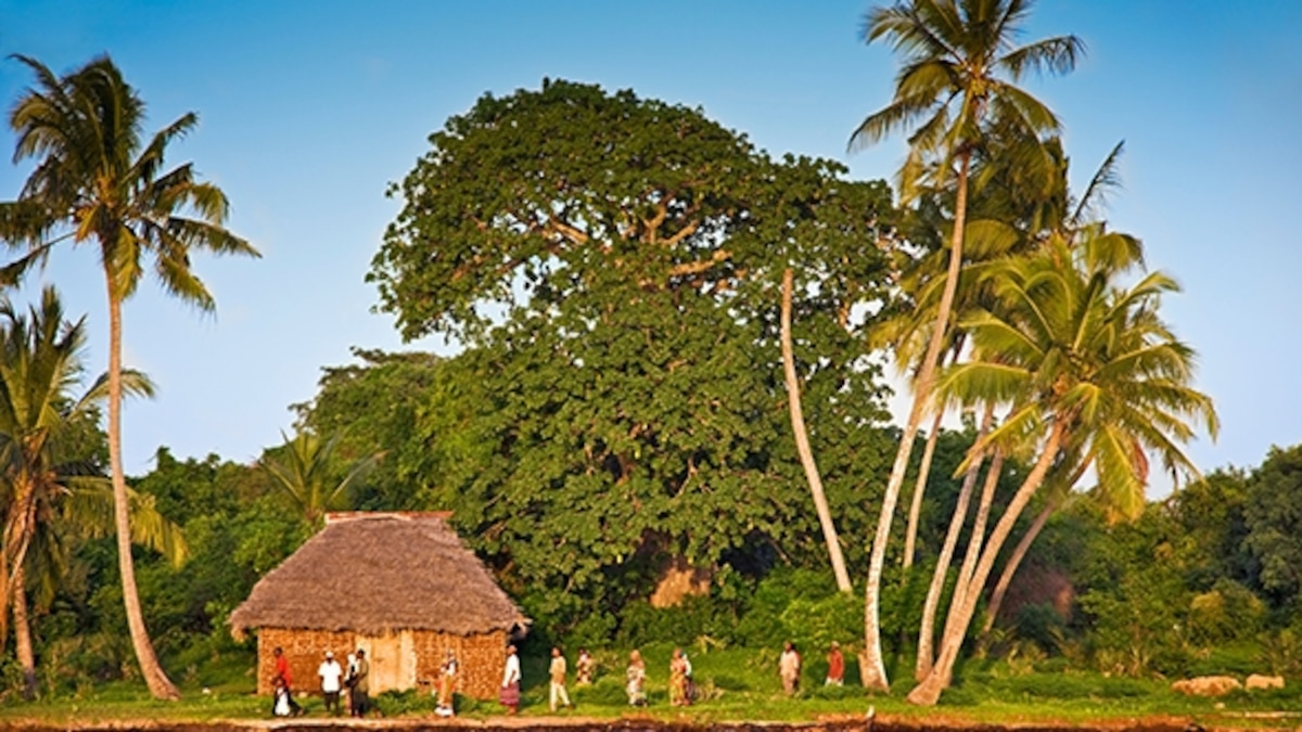 A Change of Pace on the Kenya Coast | National Geographic