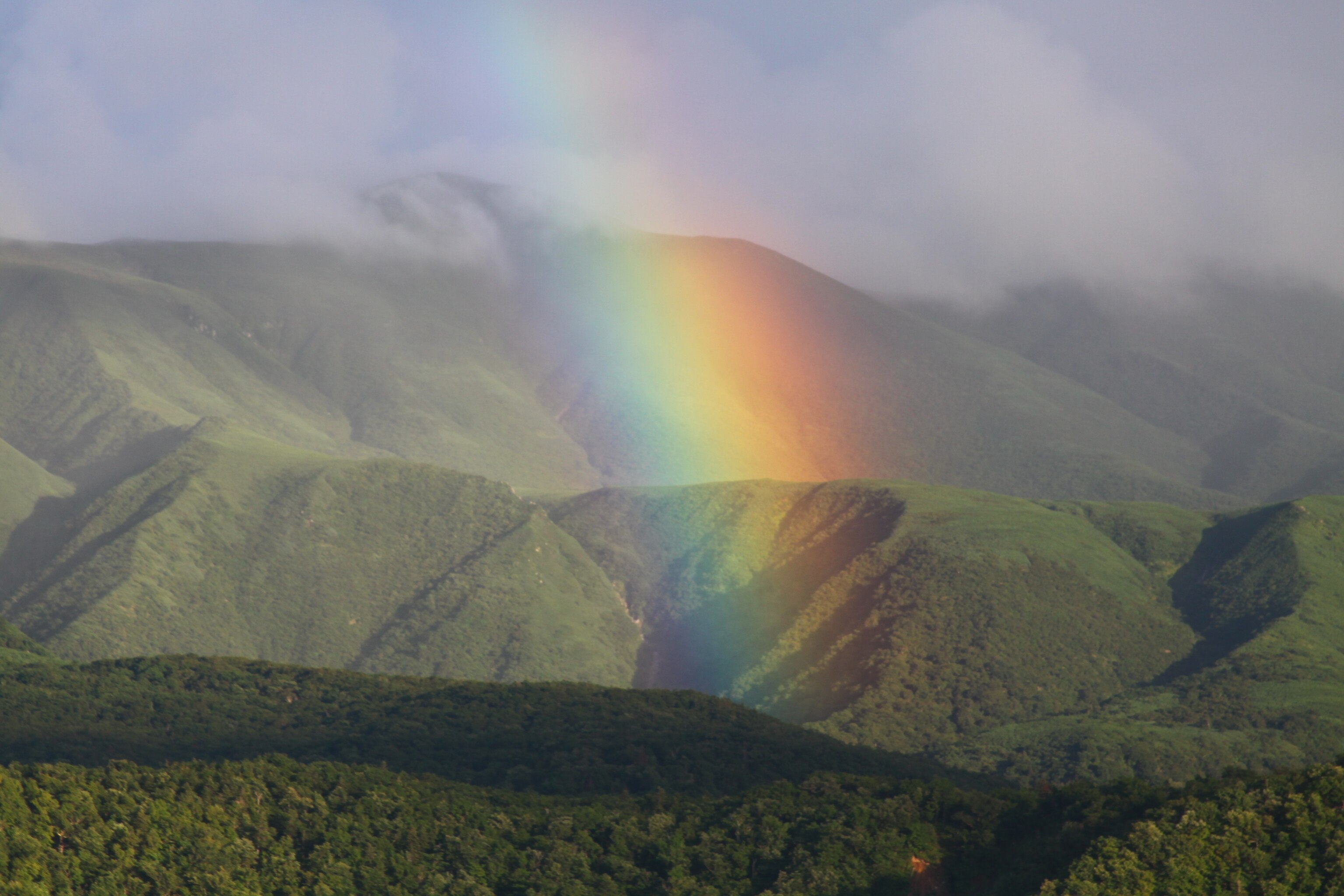 Teddy Bears & Rainbows | National Geographic