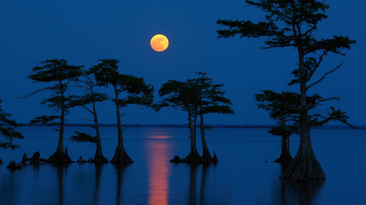 Blue Moon Nature