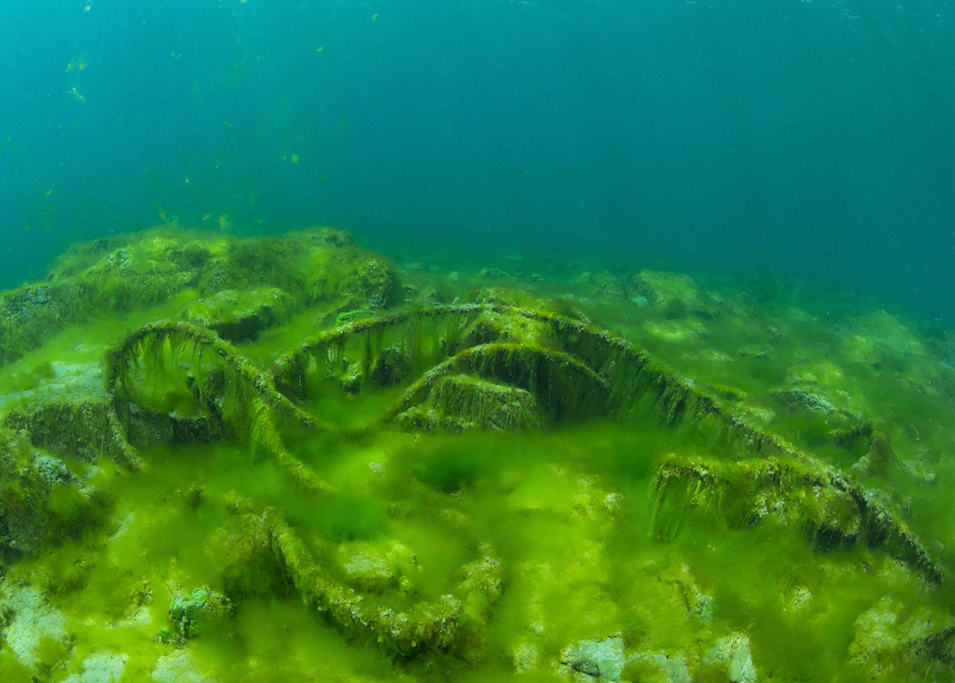 Pictures: Green Slime Invades World’s Deepest Lake | National Geographic
