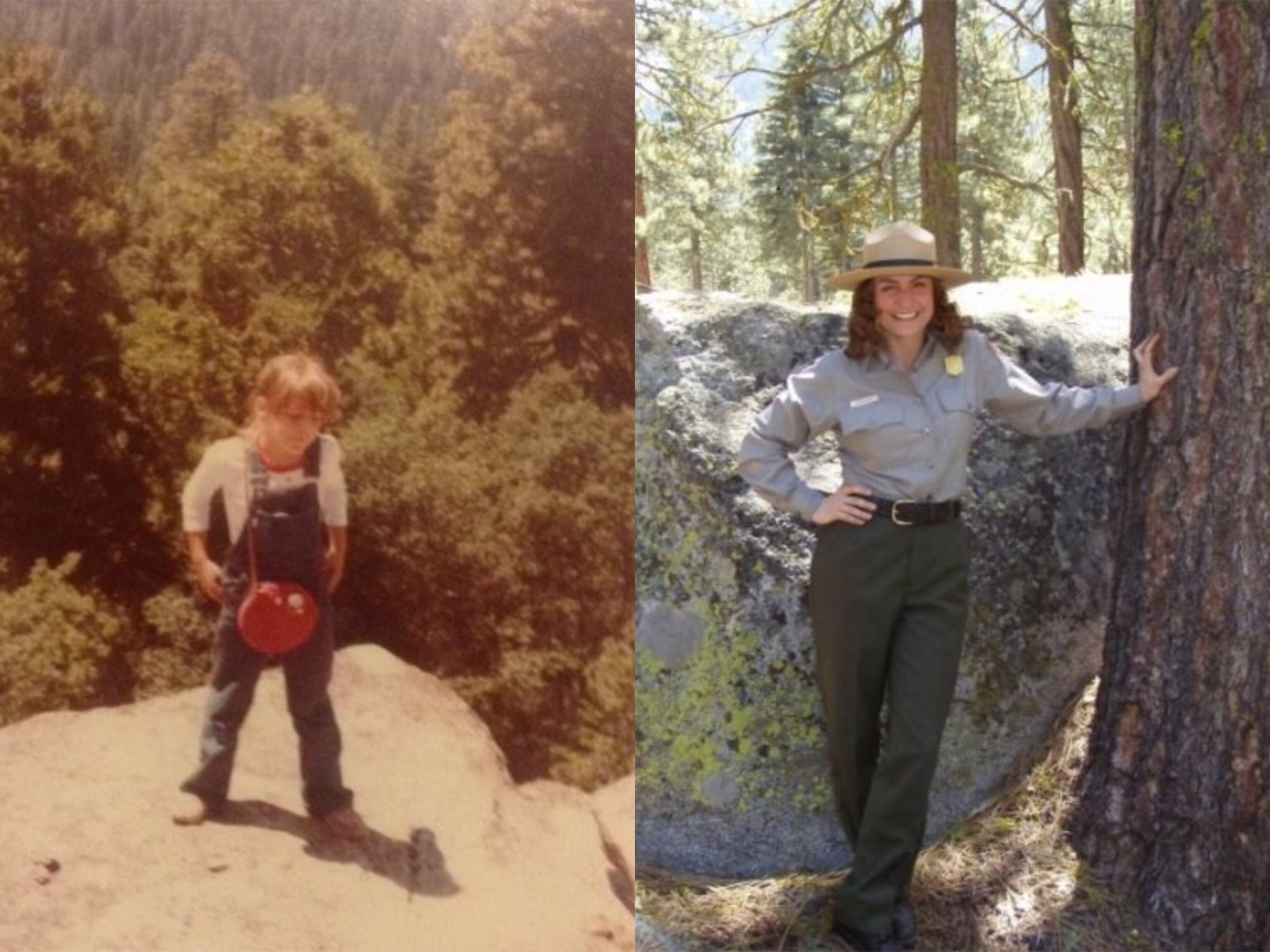 Inside the political battle to preserve a sprawling national forest in ...