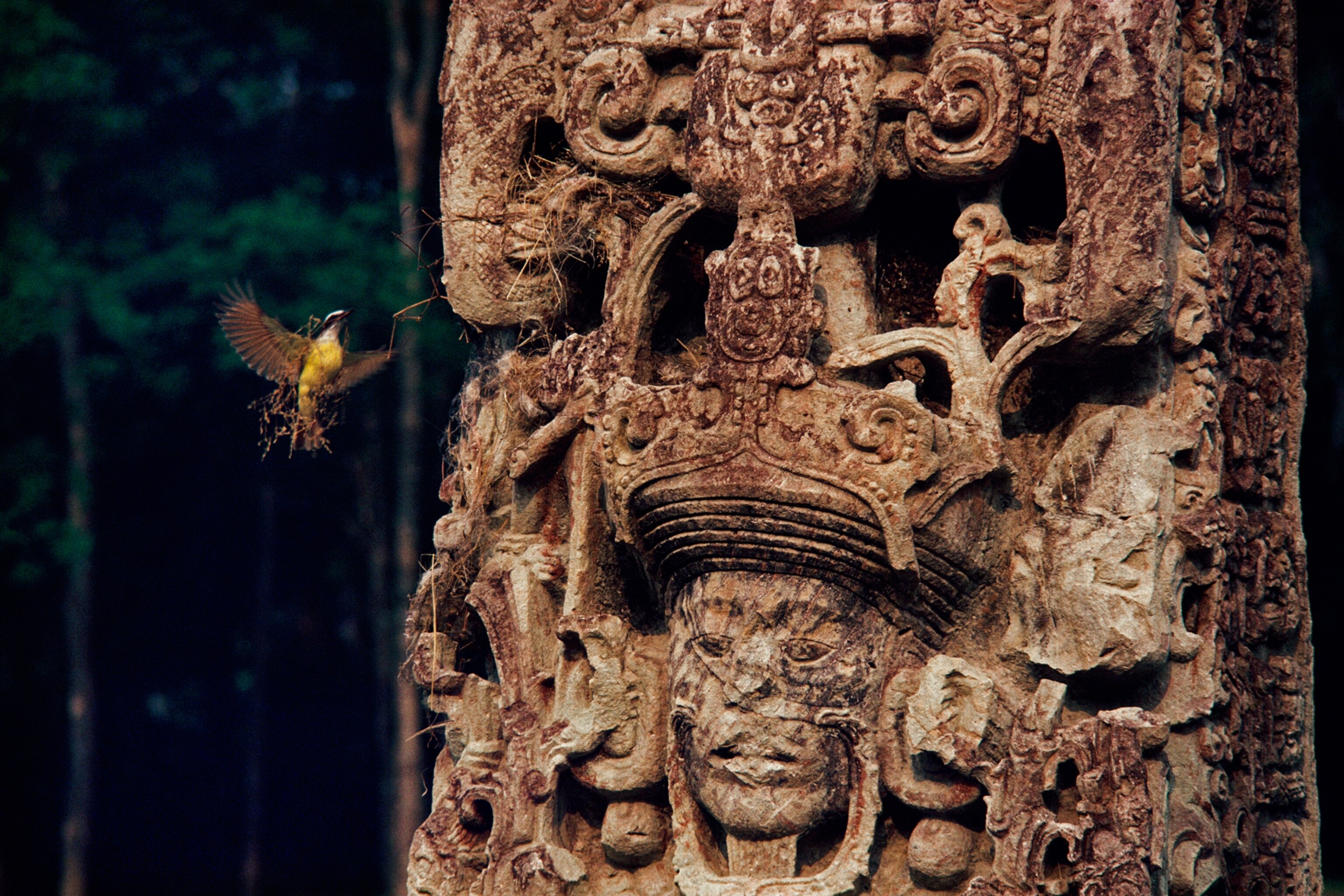 These archaeological findings unlocked the stories of our ancestors