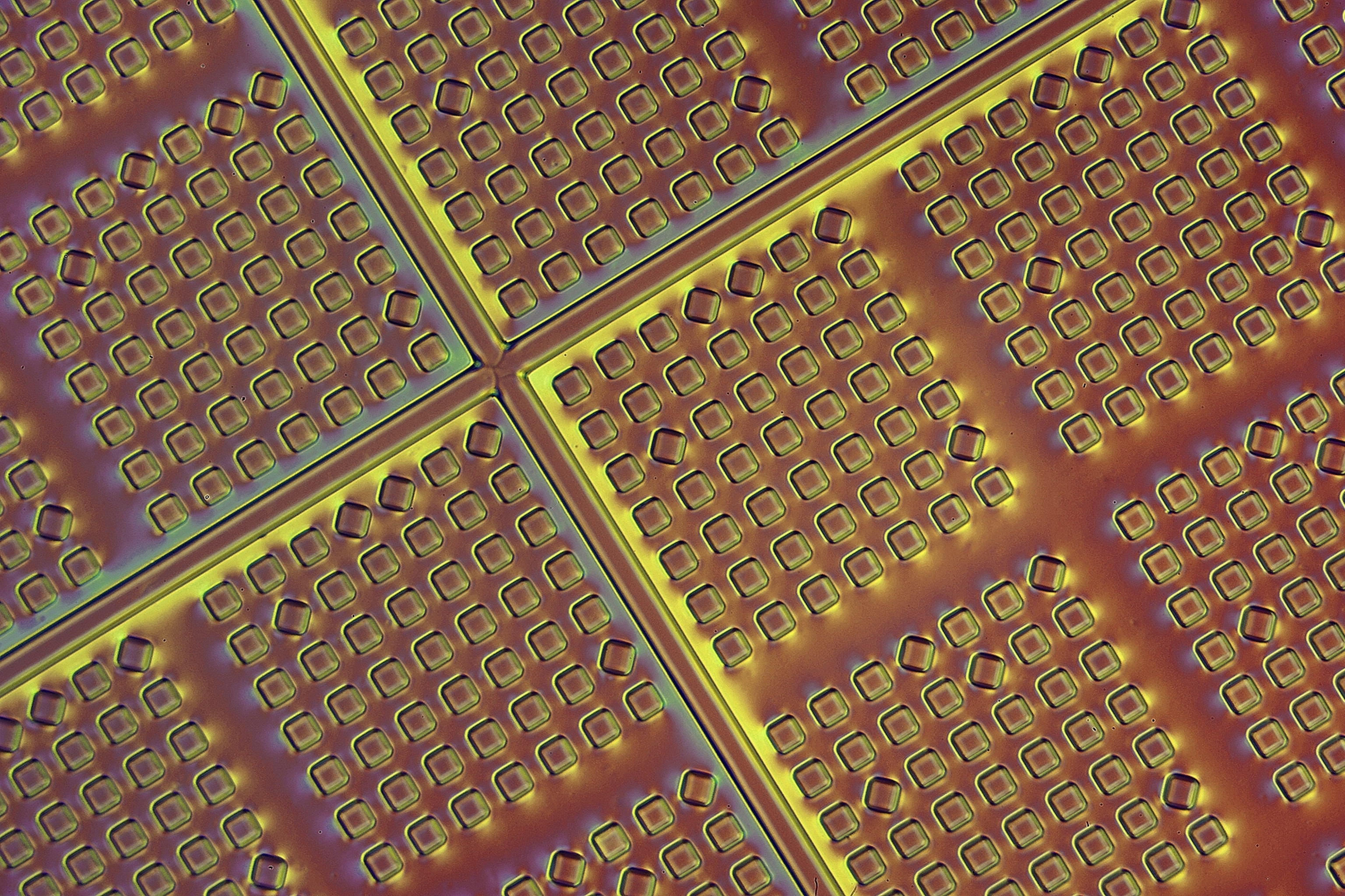 Photographer Felice Frankel translates science into stunning images