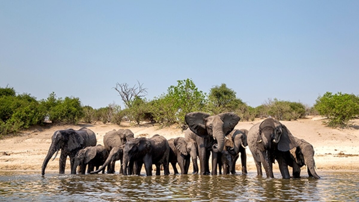 Top 10 Travel Experiences in Botswana -- National Geographic