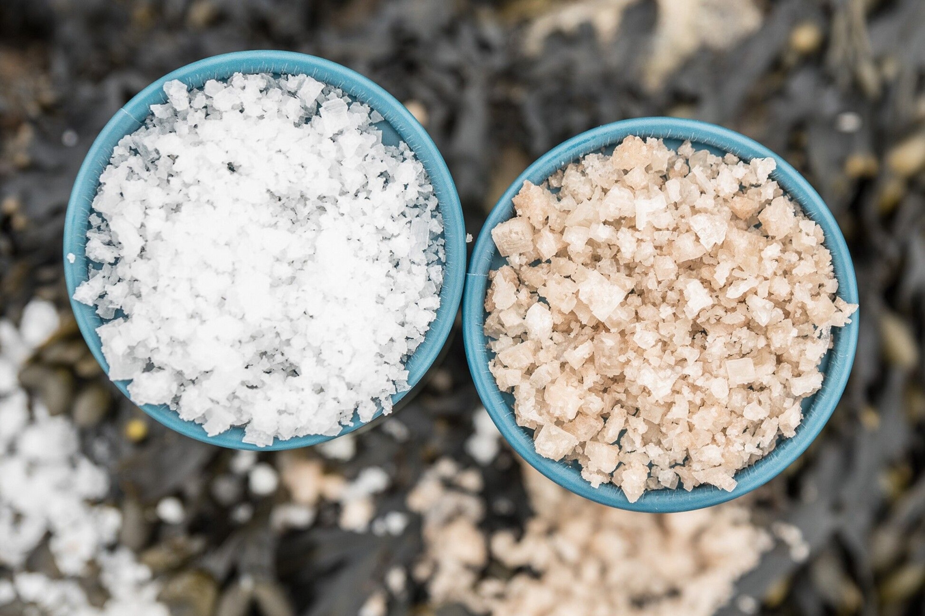 A culinary guide to Zeeland, the Netherlands' 'Land on Sea'