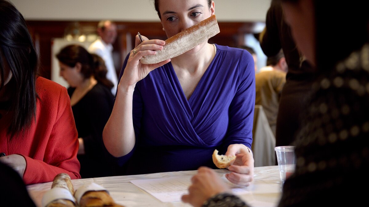 Q&A: How Can Our Noses Smell a Trillion Different Odor Mixtures ...