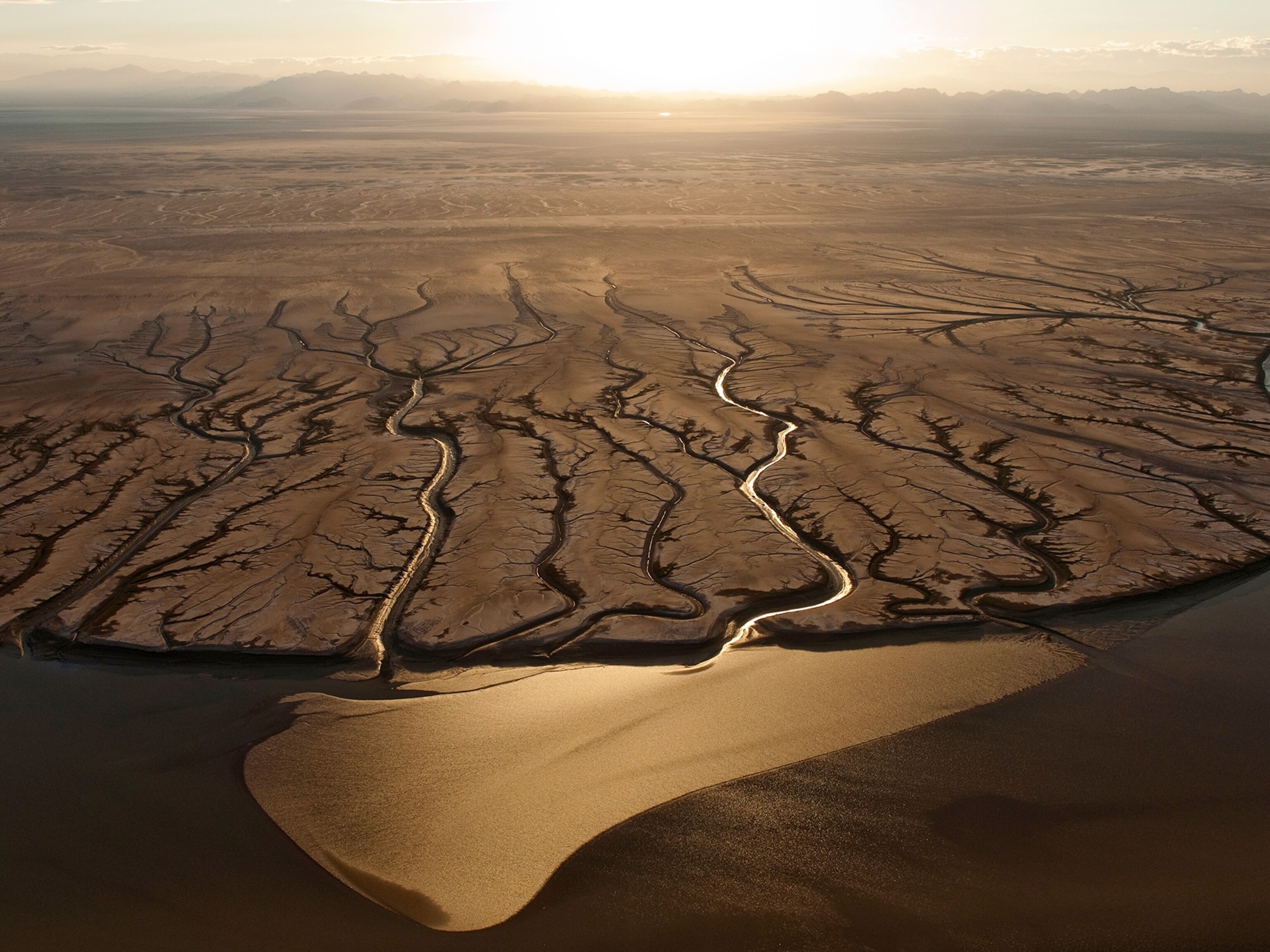 Colorado River Delta Pulse Flow