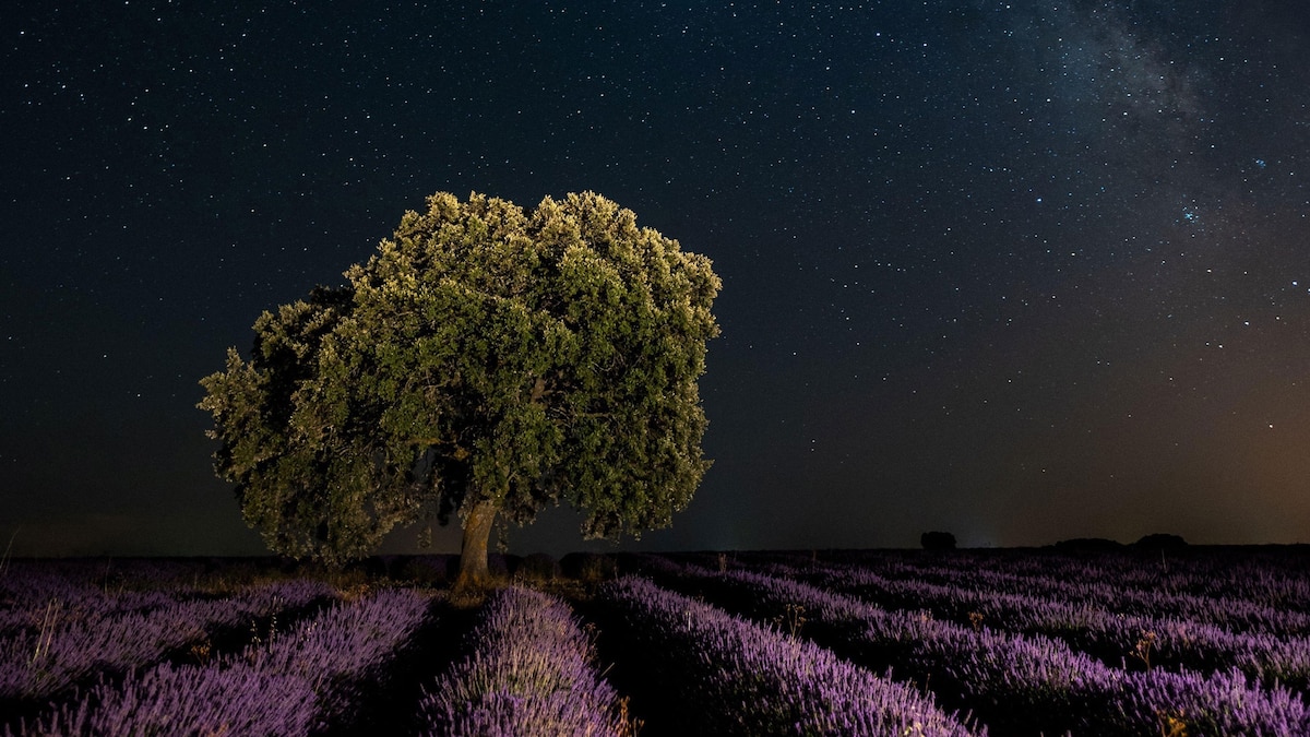 In rare sky show, Jupiter and Saturn will nearly 'touch' on the winter ...