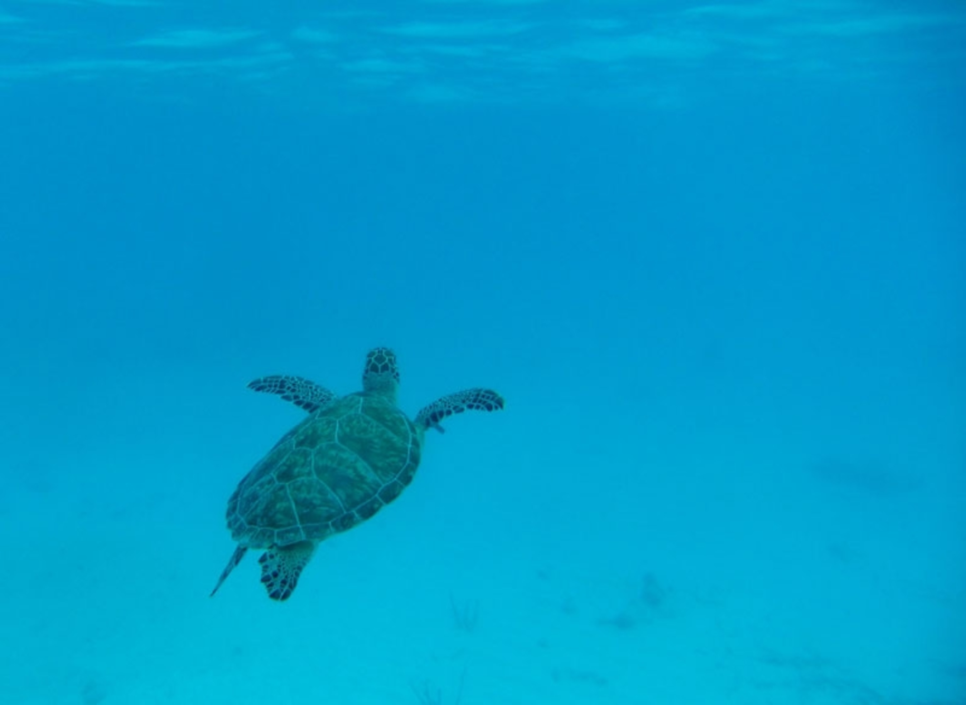 Mexico Photo Safari | National Geographic