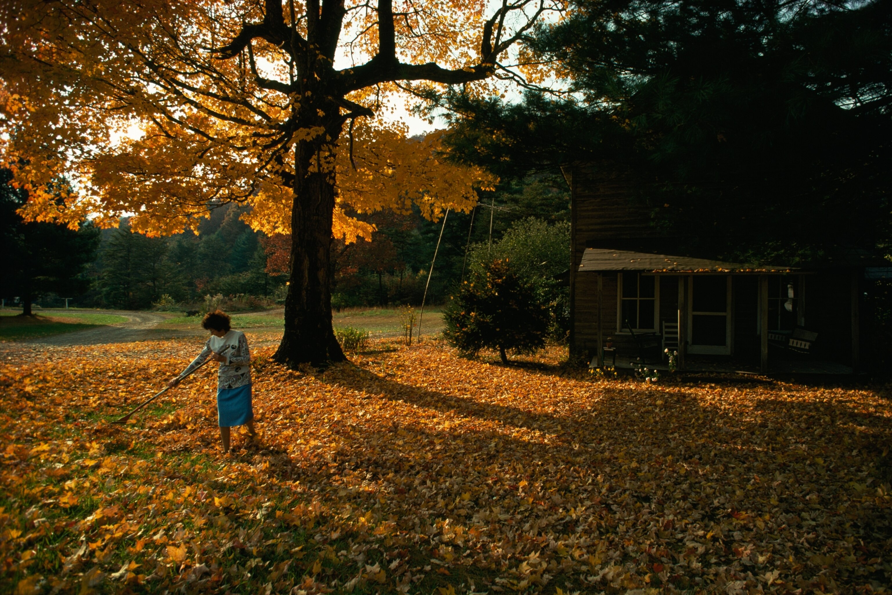 31 pictures from the Nat Geo archives that capture the beauty of our world