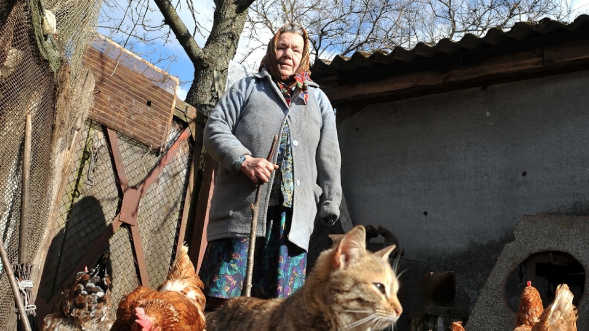 Pictures: Animals Inherit Mixed Legacy at Chernobyl | National Geographic