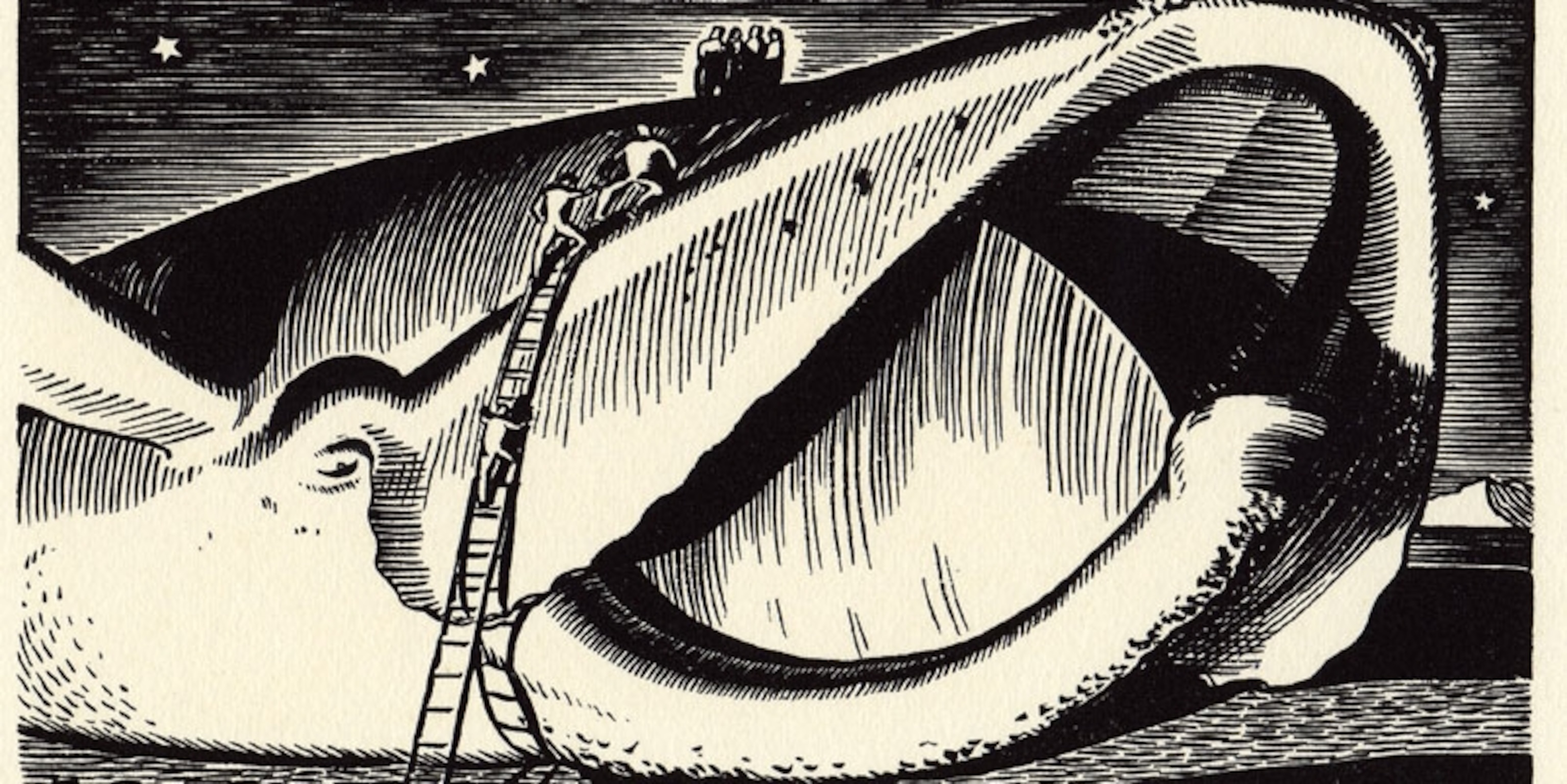 Moby Dick Illustration