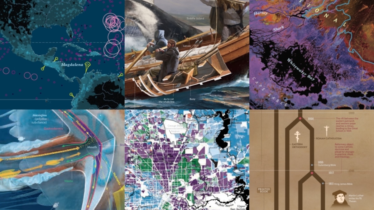 National Geographic's most memorable maps and graphics from 2018 ...