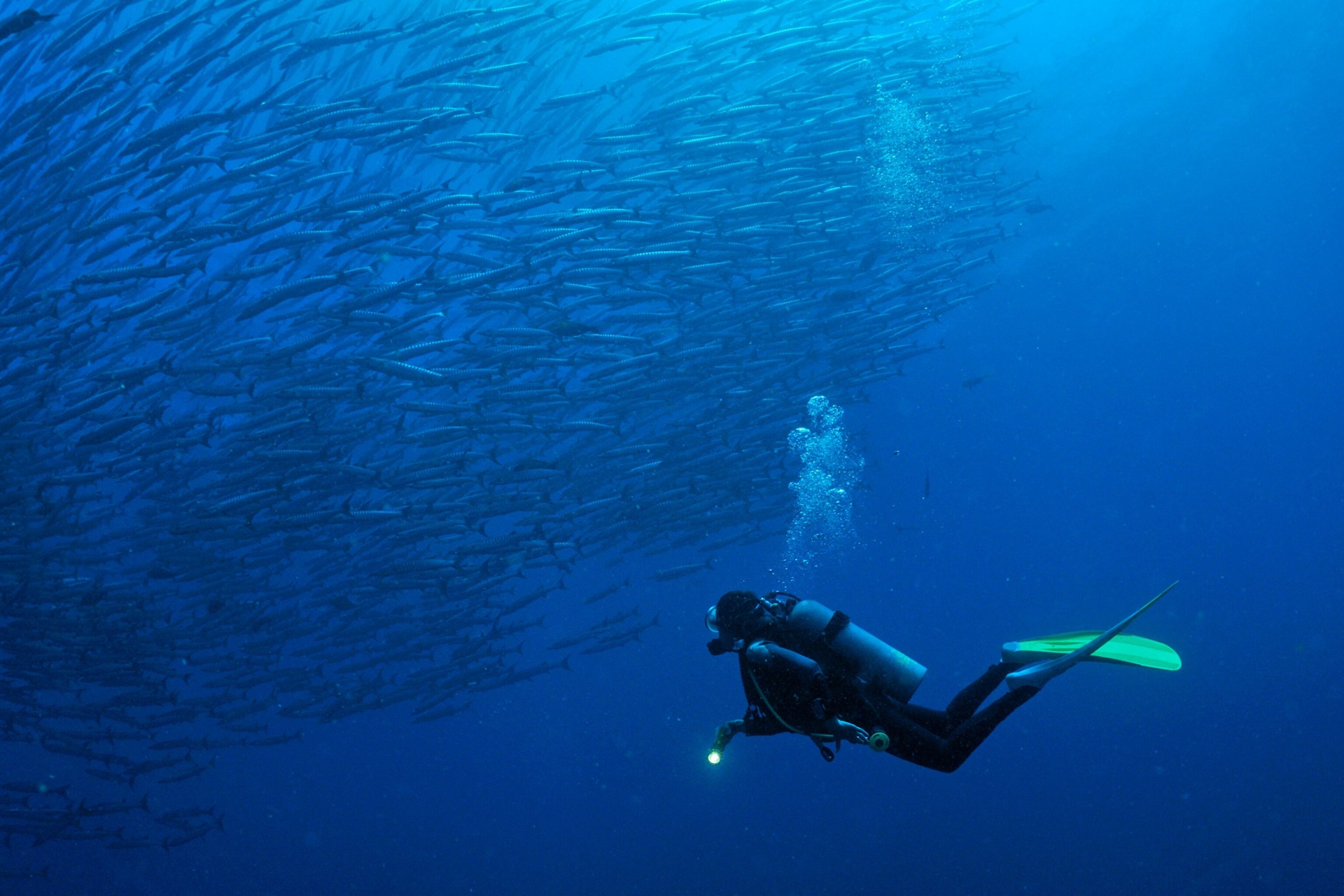 Beneath the blue: 5 of the best diving experiences in Sabah, Malaysia