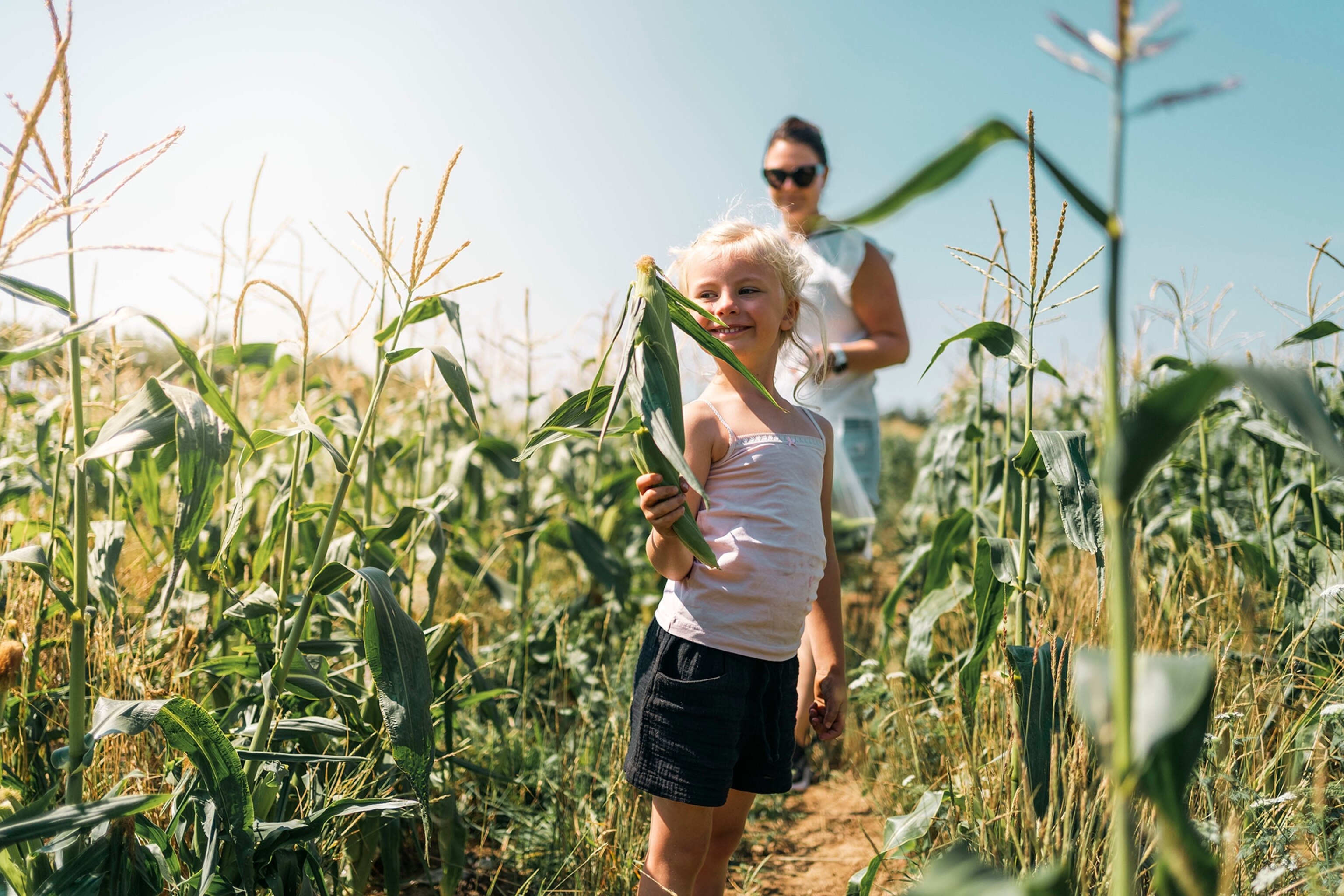 Where to go fruit and veg picking in the UK this autumn