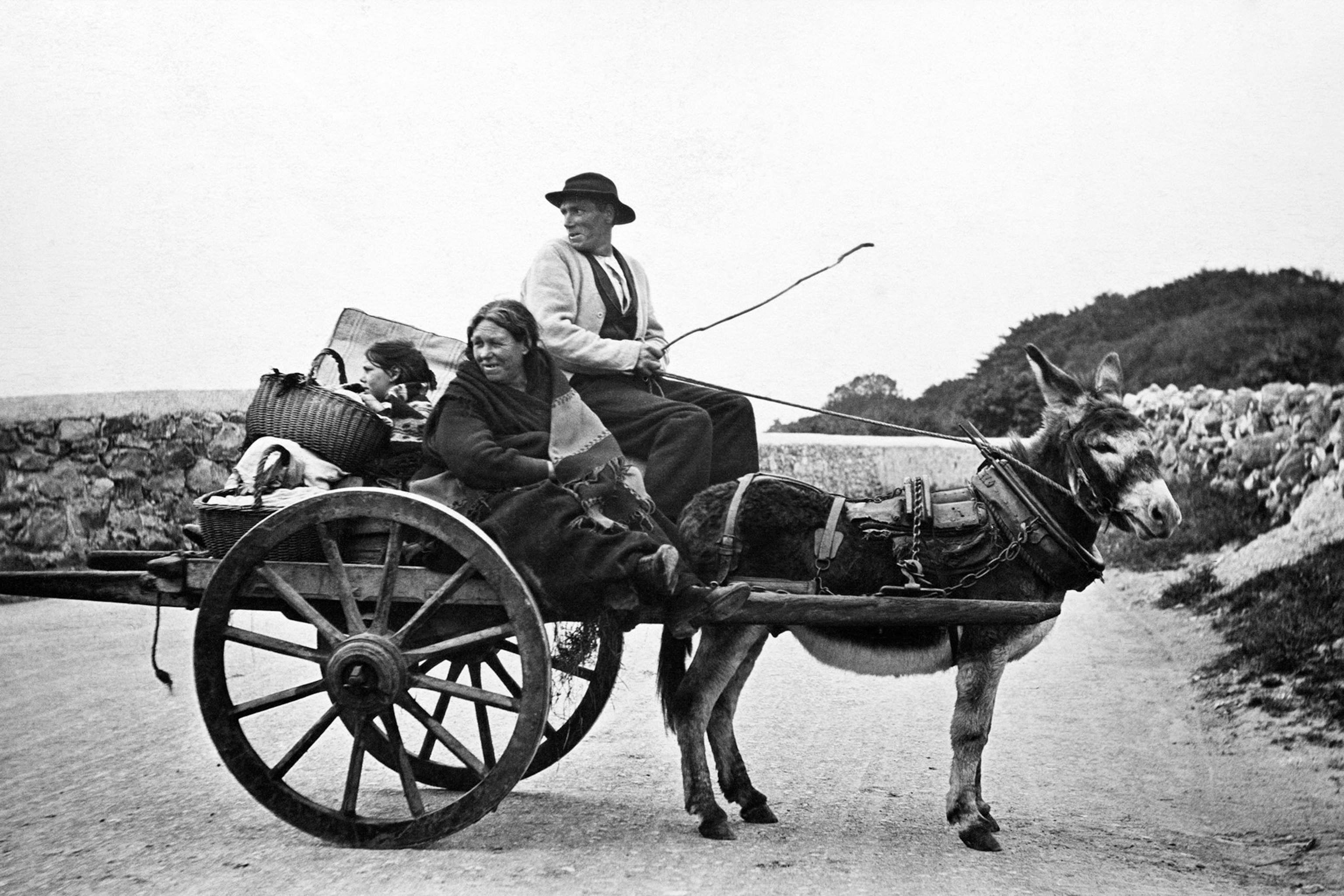 Irish Ancestry Surprises Revealed by New DNA Map