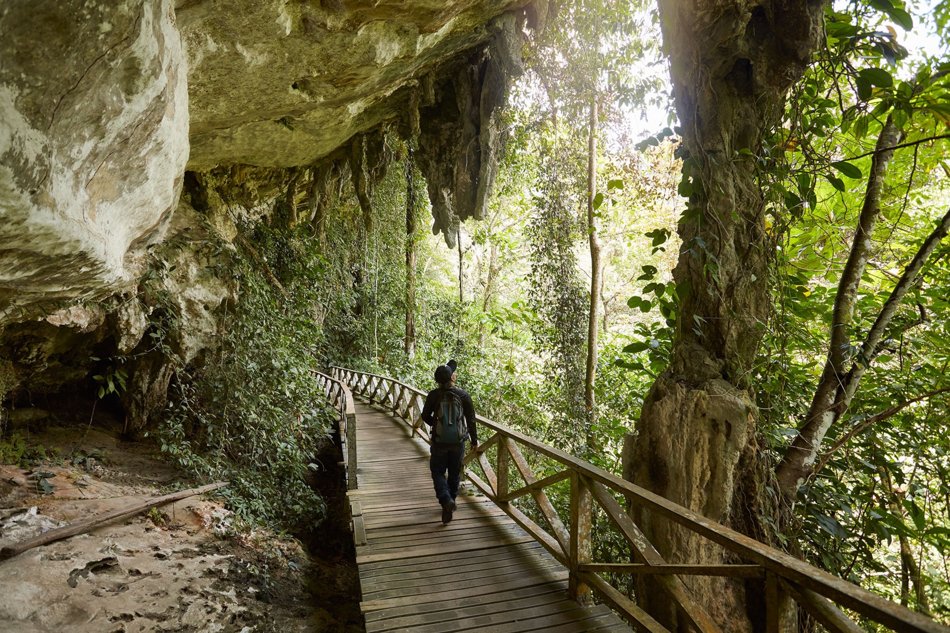 Insider's guide to exploring the great caves of Sarawak, Malaysia's ...
