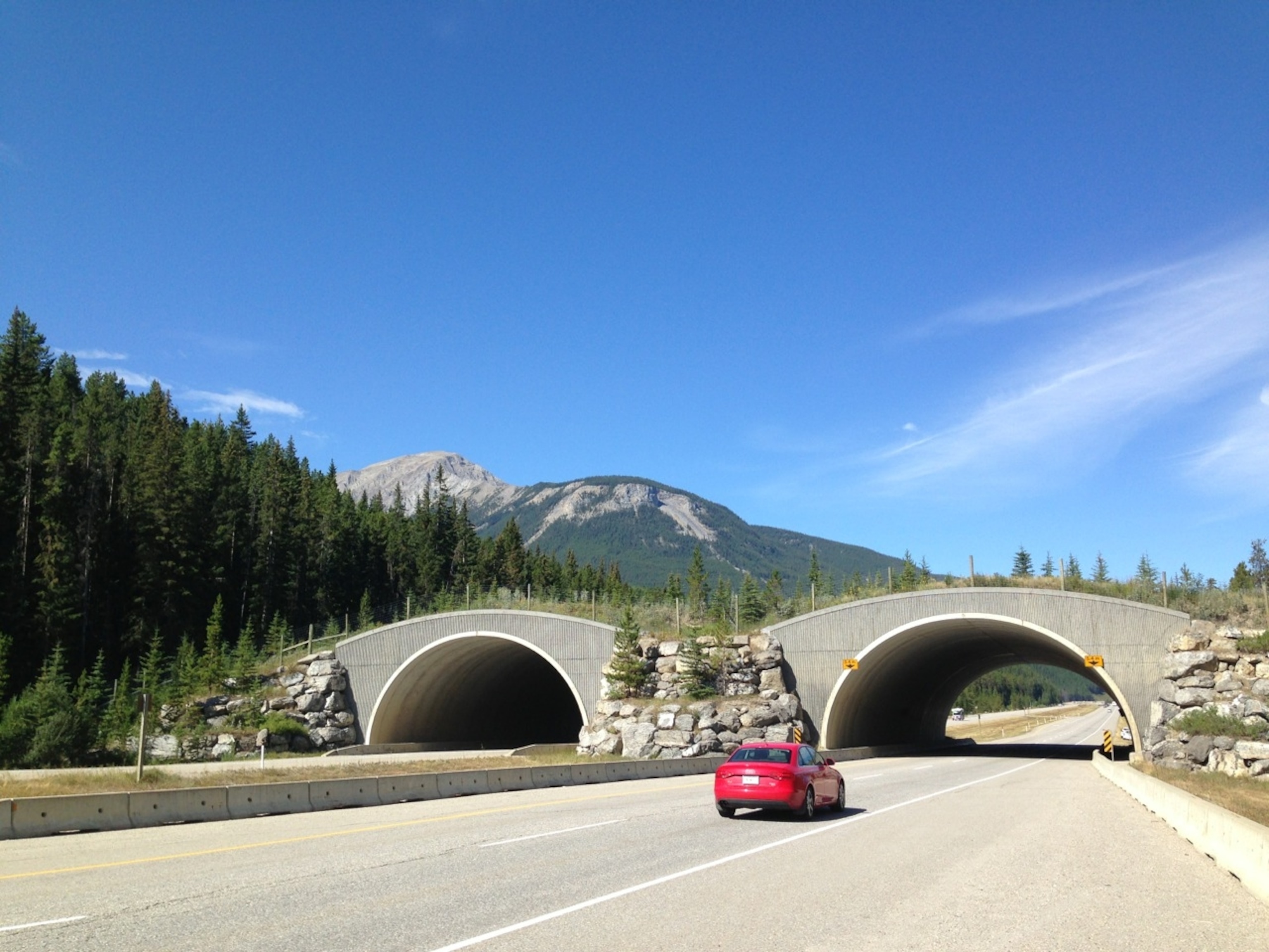 The Alberta Story: Wildlife Crossing in Banff