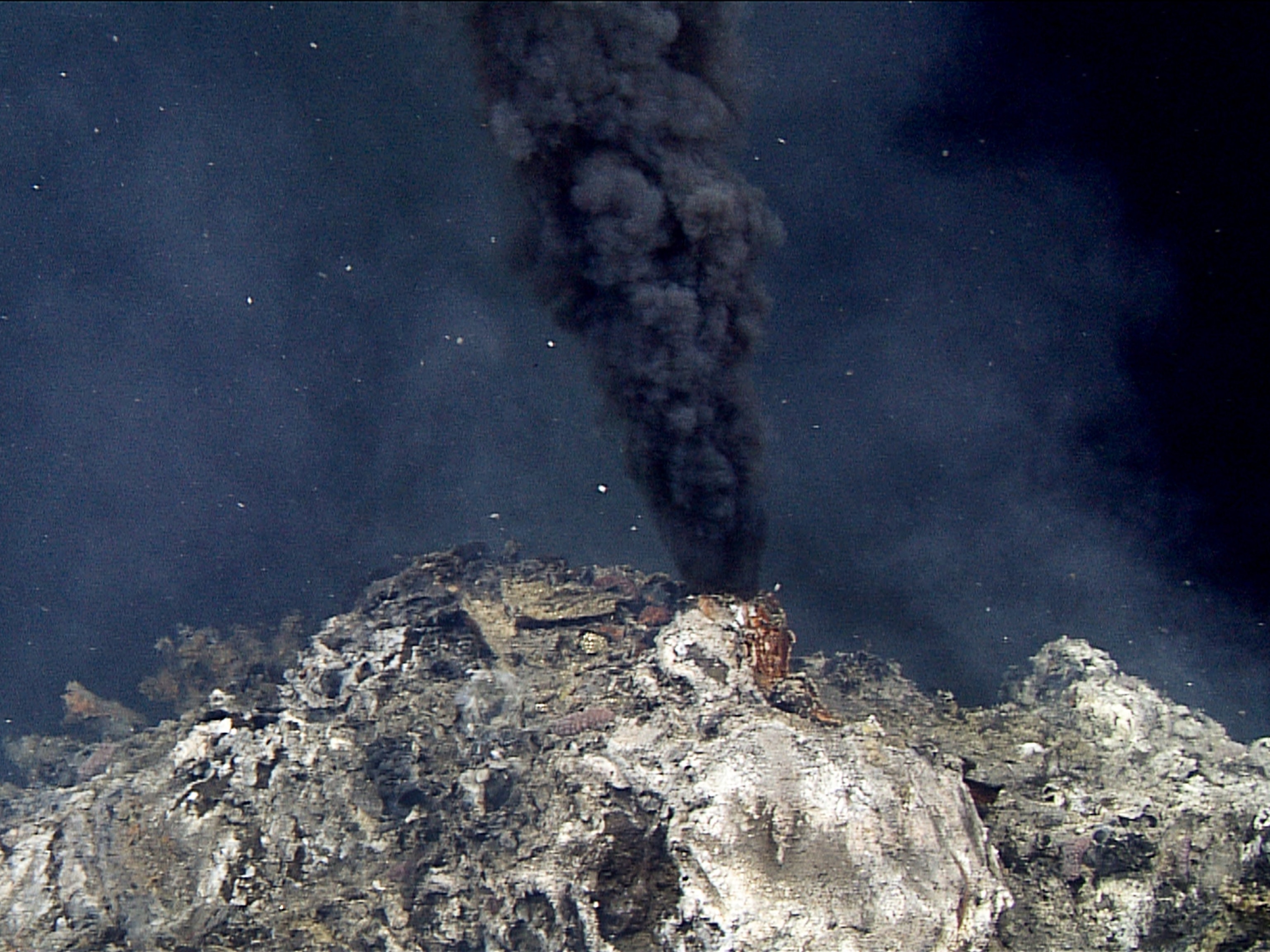 Photos: Volcanic Vents, Crawling With Creatures, Found in Mexico Sea ...