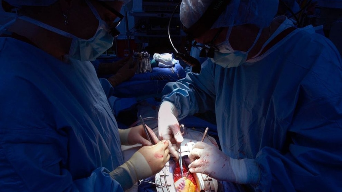 Near-Death Experiences Explained? | National Geographic