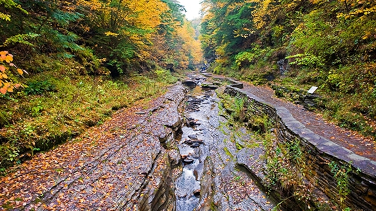 Leaf-Peeping Paradise: The Finger Lakes | National Geographic