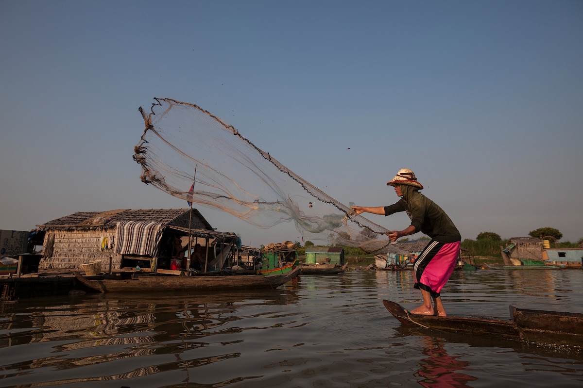 River sanctuaries help giant fish recover in Southeast Asia's Mekong system