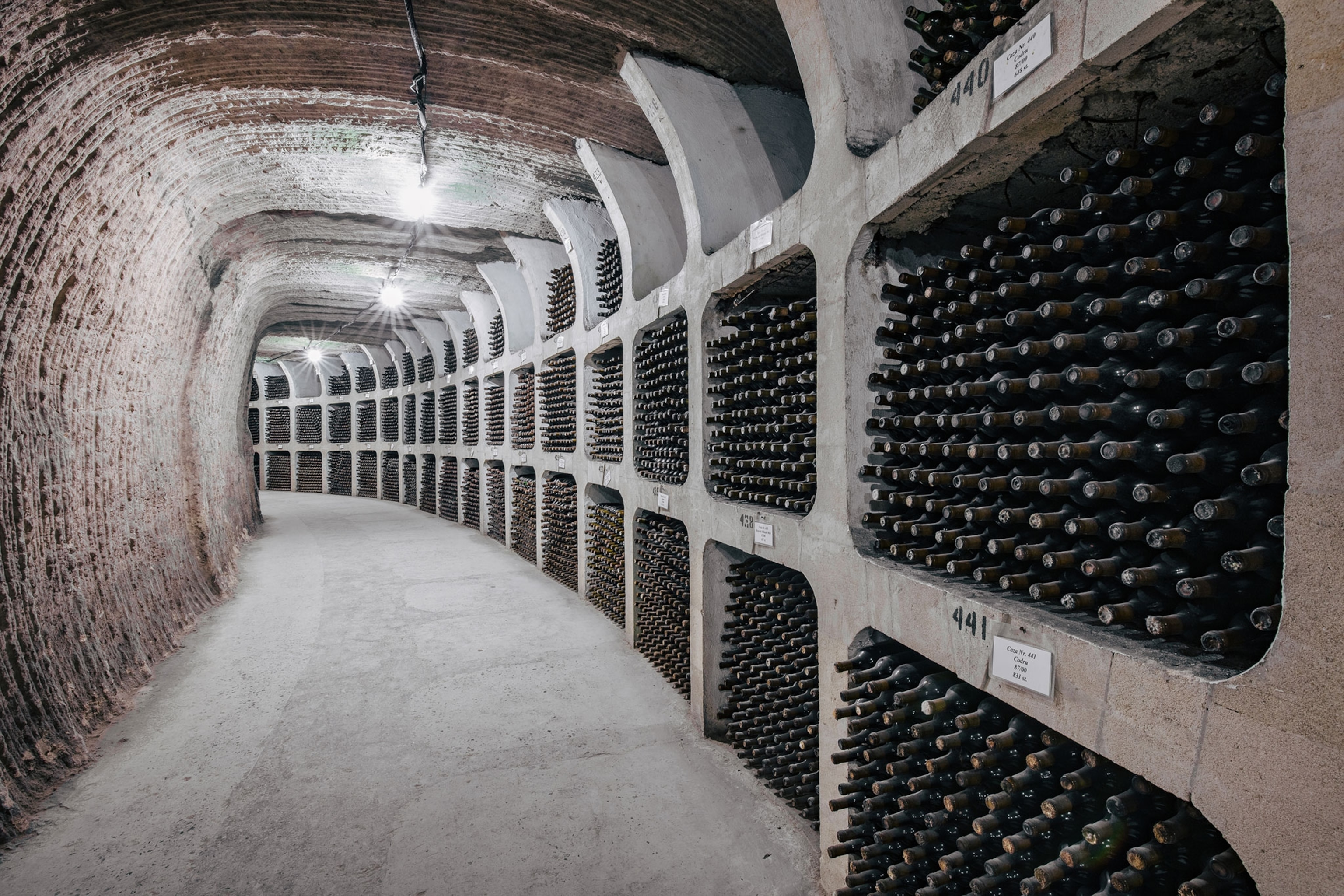 Discover Moldova's vibrant viticulture regions
