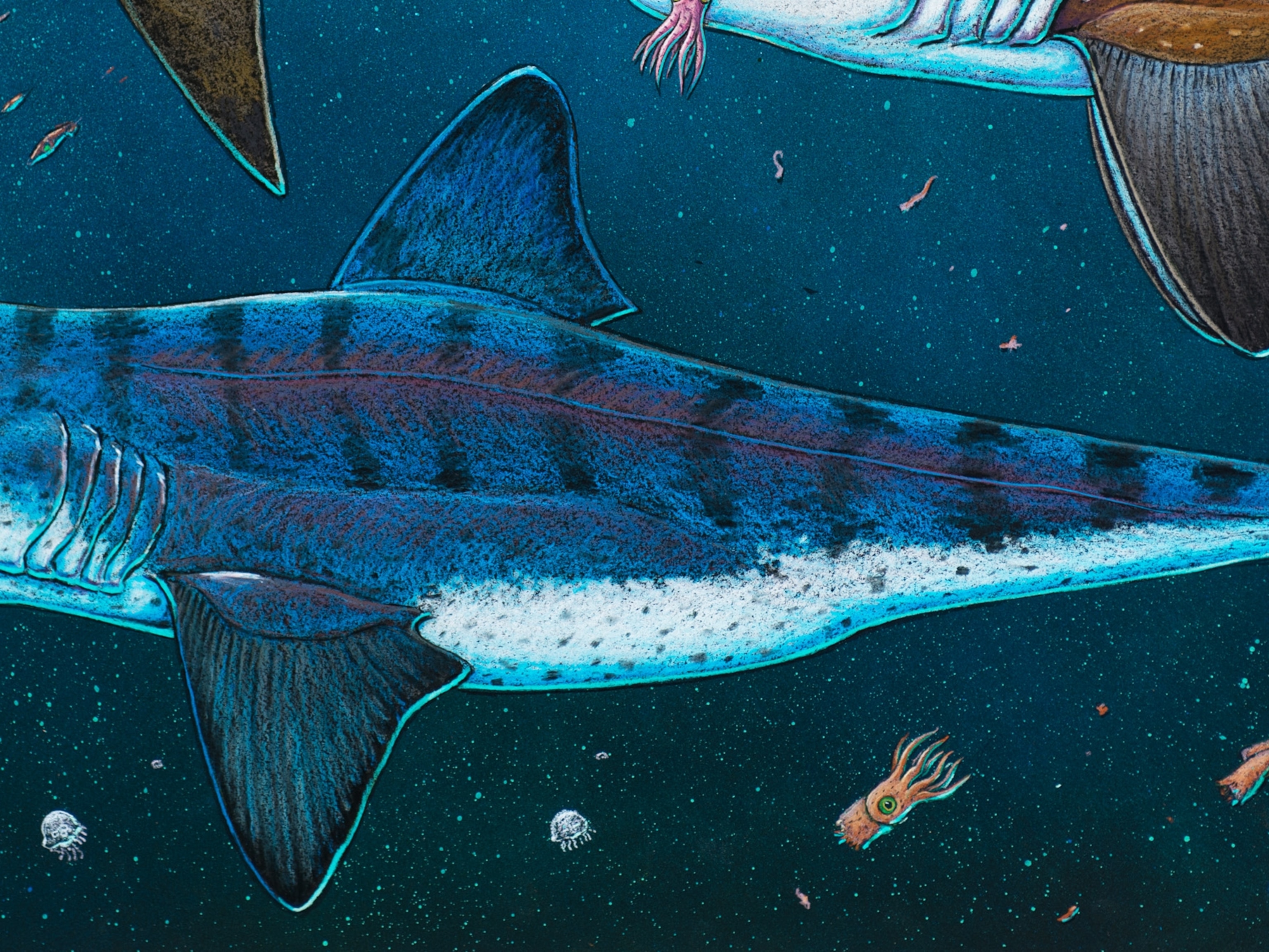 Ornithoprion Helicoprion (Prehistoric Animal Models By PNSO)