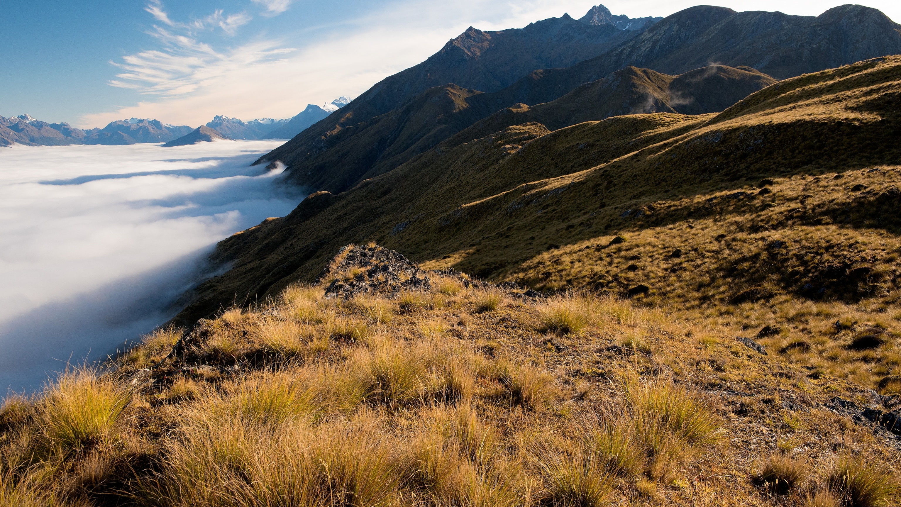 Landscape Of New Zealand Beautiful Landscape Photos In Waiheke Island