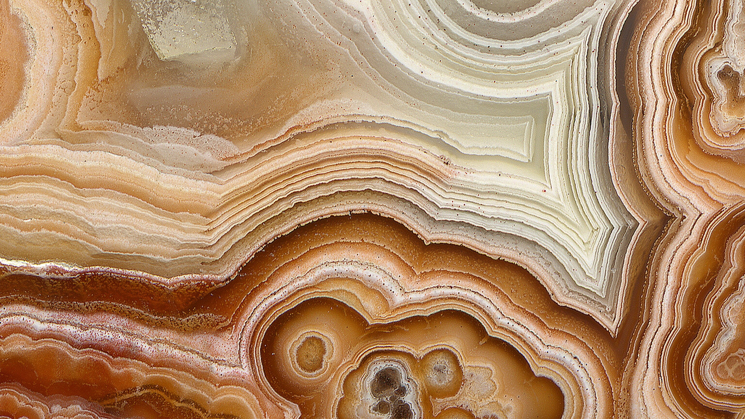 Photographer Felice Frankel translates science into stunning images