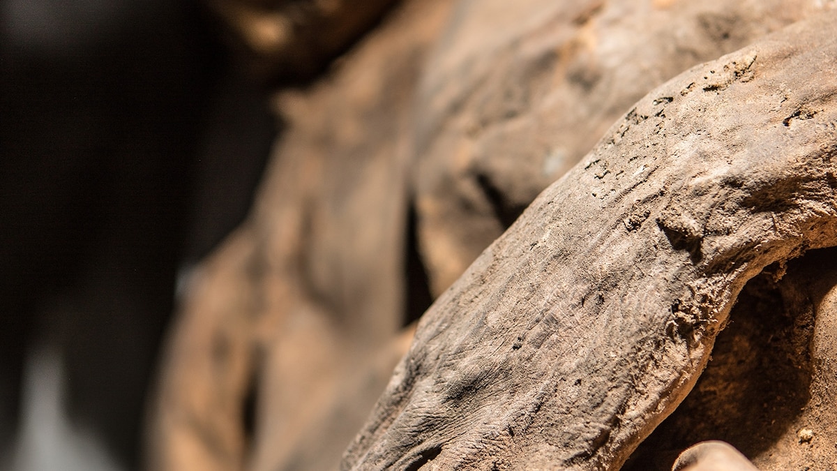 Child Mummy Found With Oldest Known Smallpox Virus | National Geographic