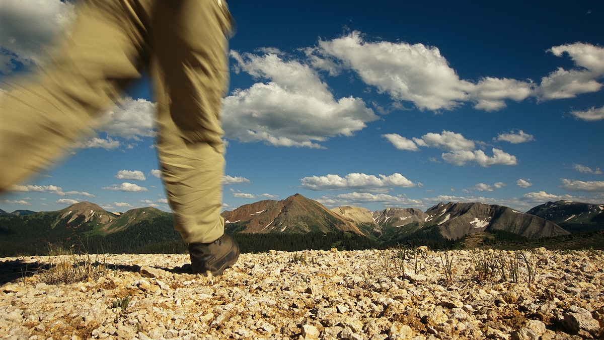 Why You Move the Way You Do | National Geographic