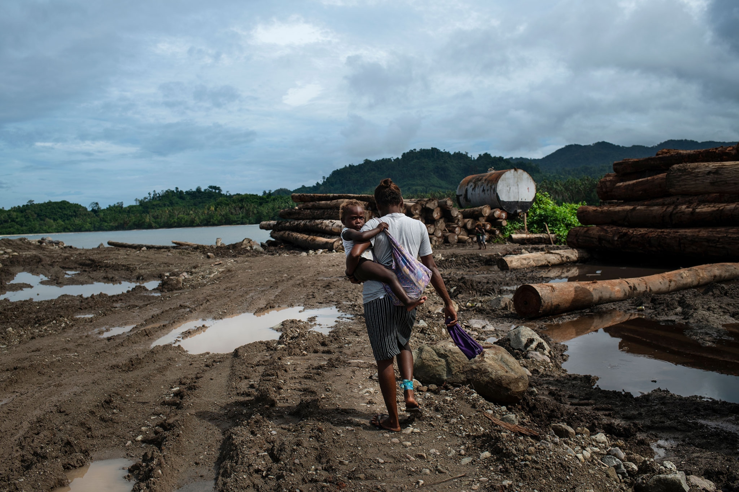 Logging is ripping apart the Solomon Islands. One man is fighting back.