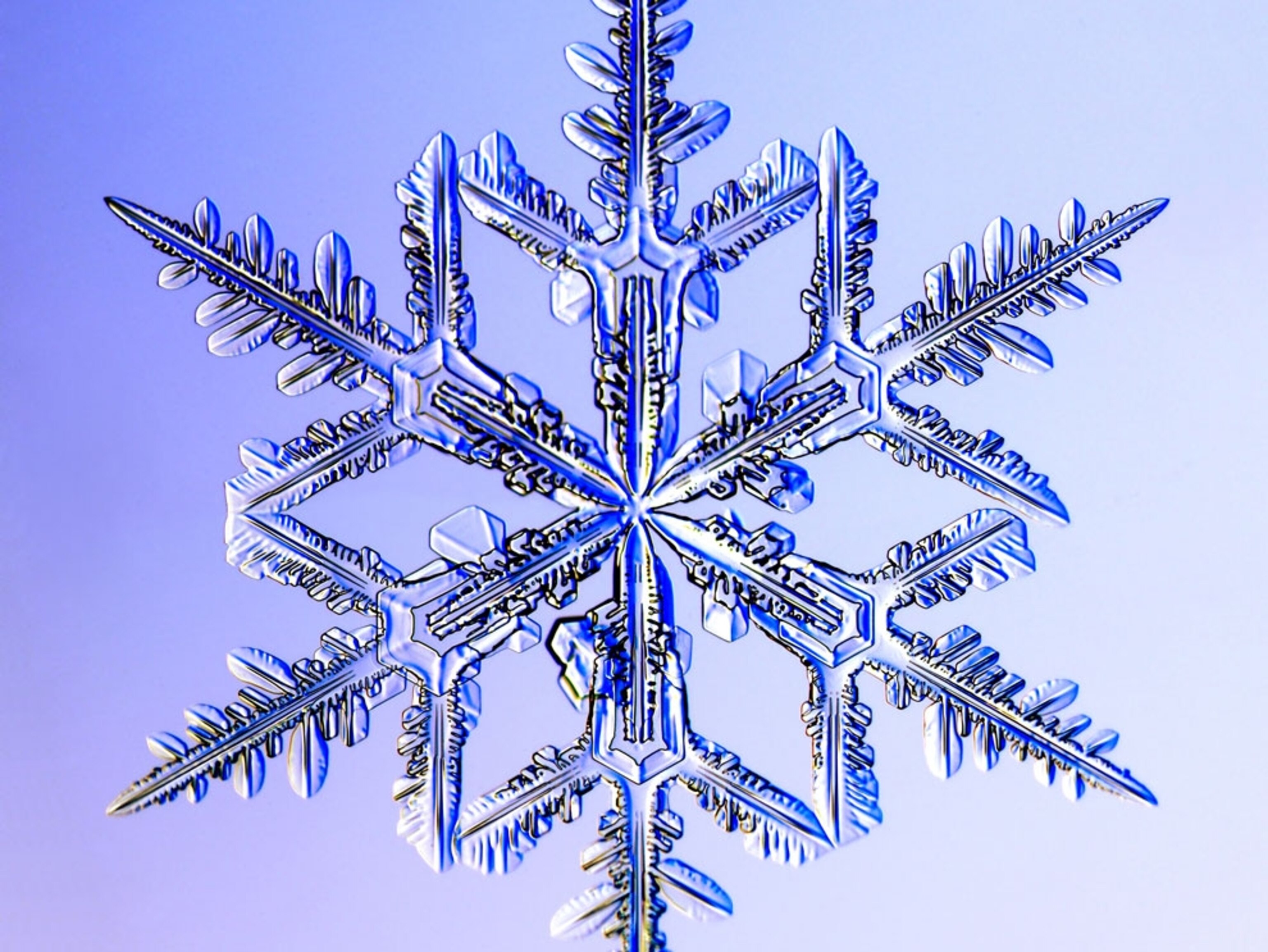 Snow and Ice Pattern Photos, Snowflake Pictures, Gallery, Wallpaper ...